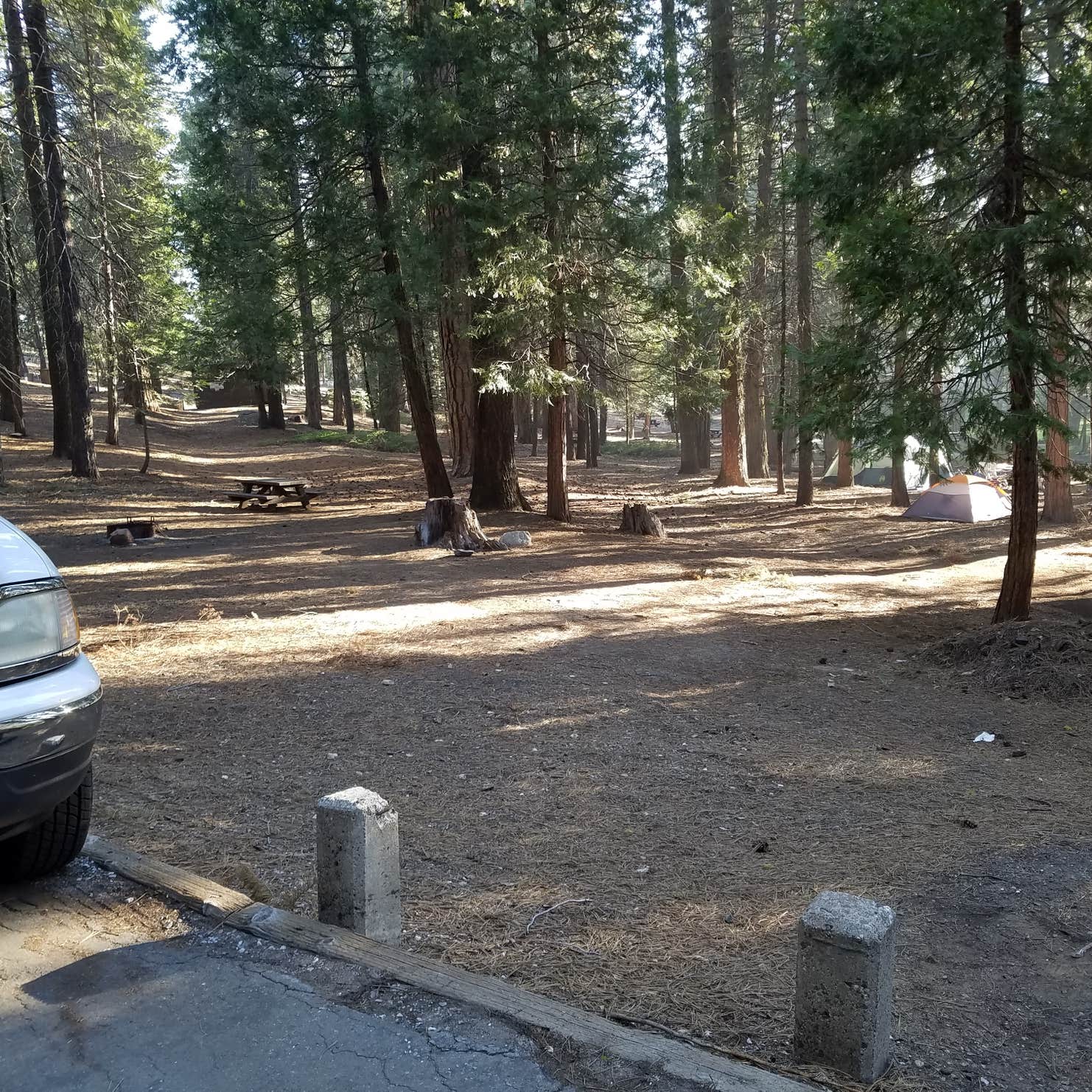 Meadowview Campground | Long Barn, California