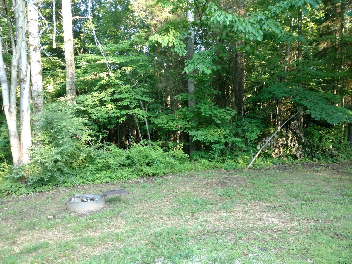 Newton Stewart State Rec Area - Patoka Lake Camping | Birdseye, IN