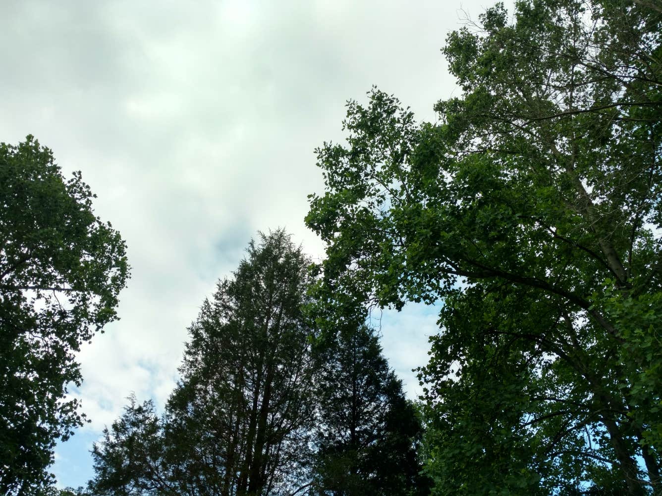 Newton Stewart State Rec Area - Patoka Lake Camping | Birdseye, IN