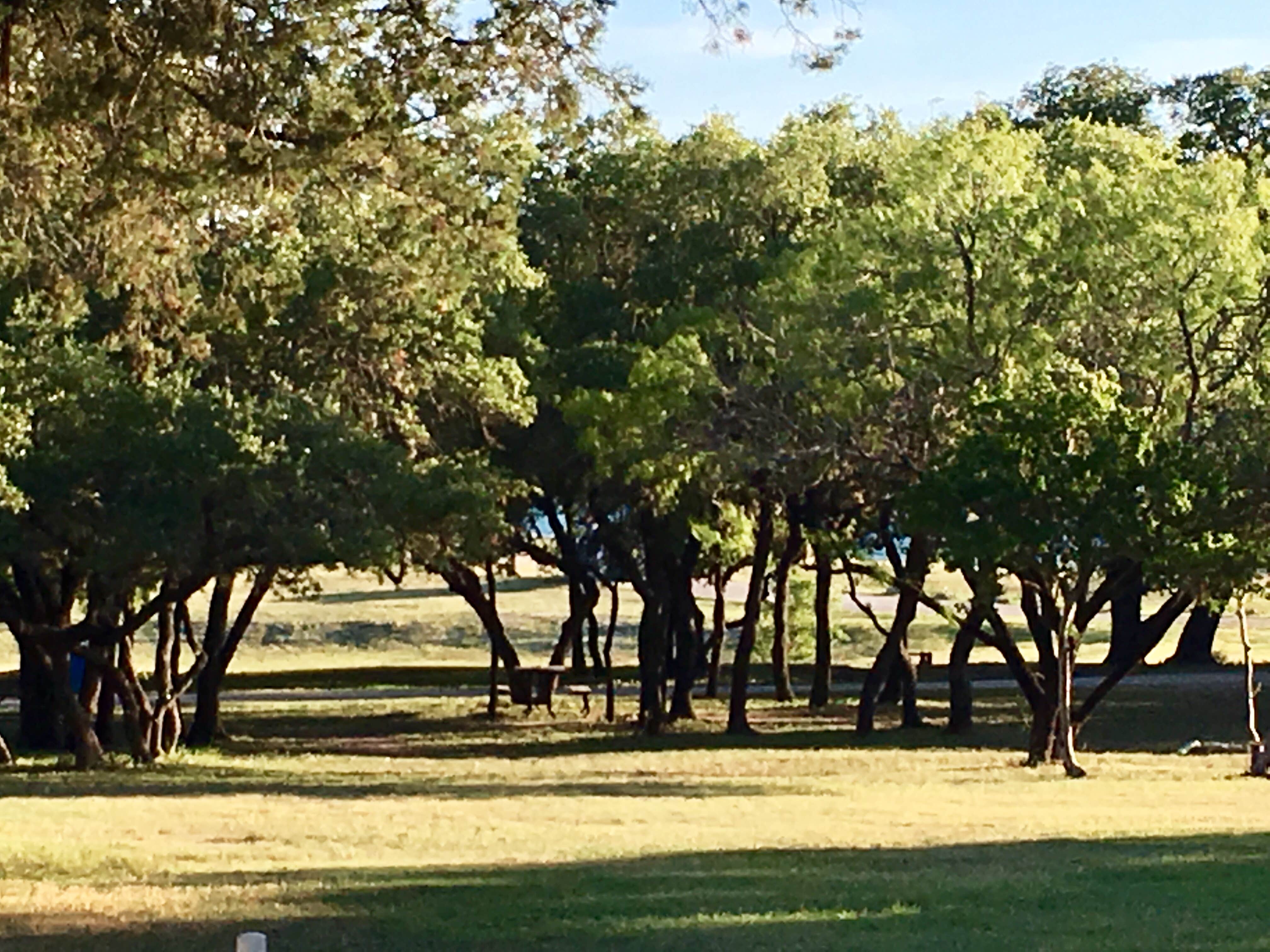 Windy Point Park Camping | Buffalo Gap, TX