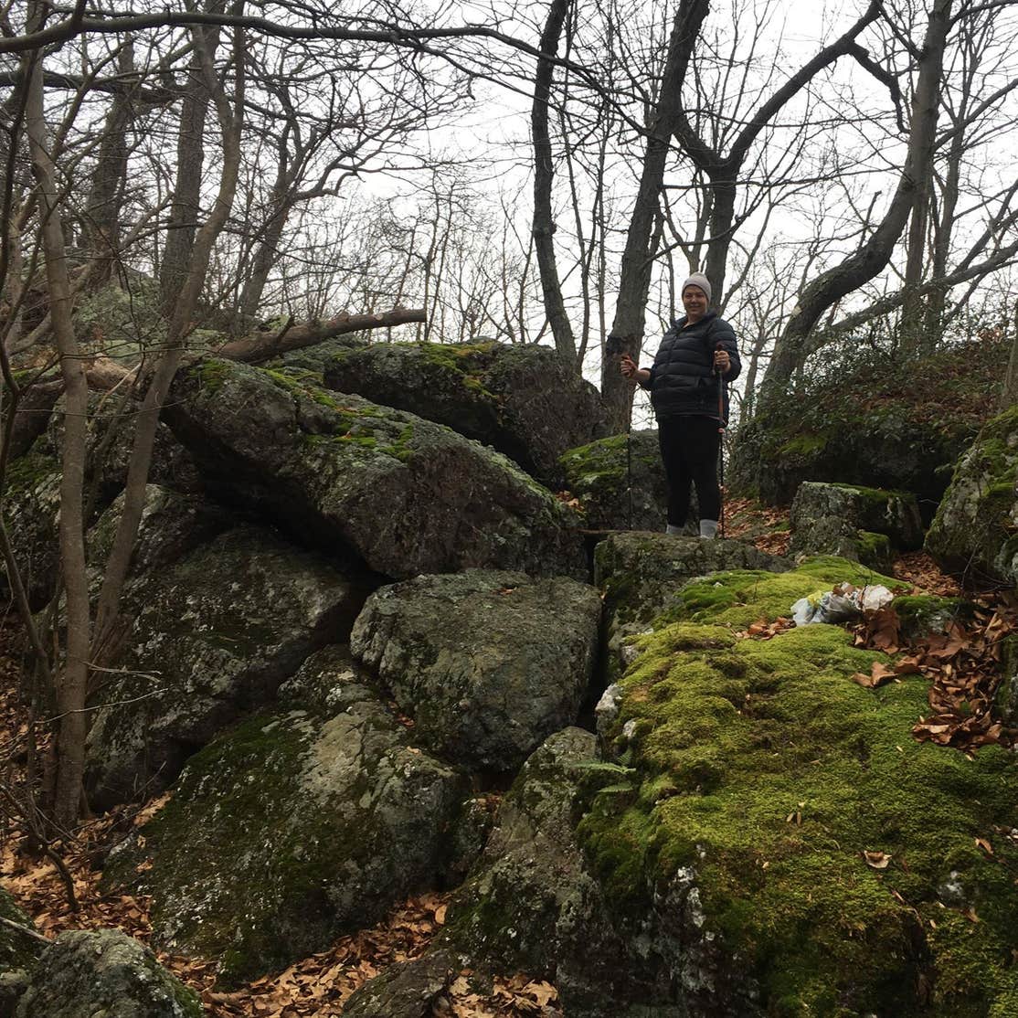 Wawayanda State Park Camping | The Dyrt