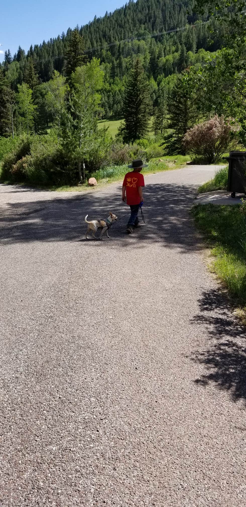 Little Maud Campground | Basalt, CO