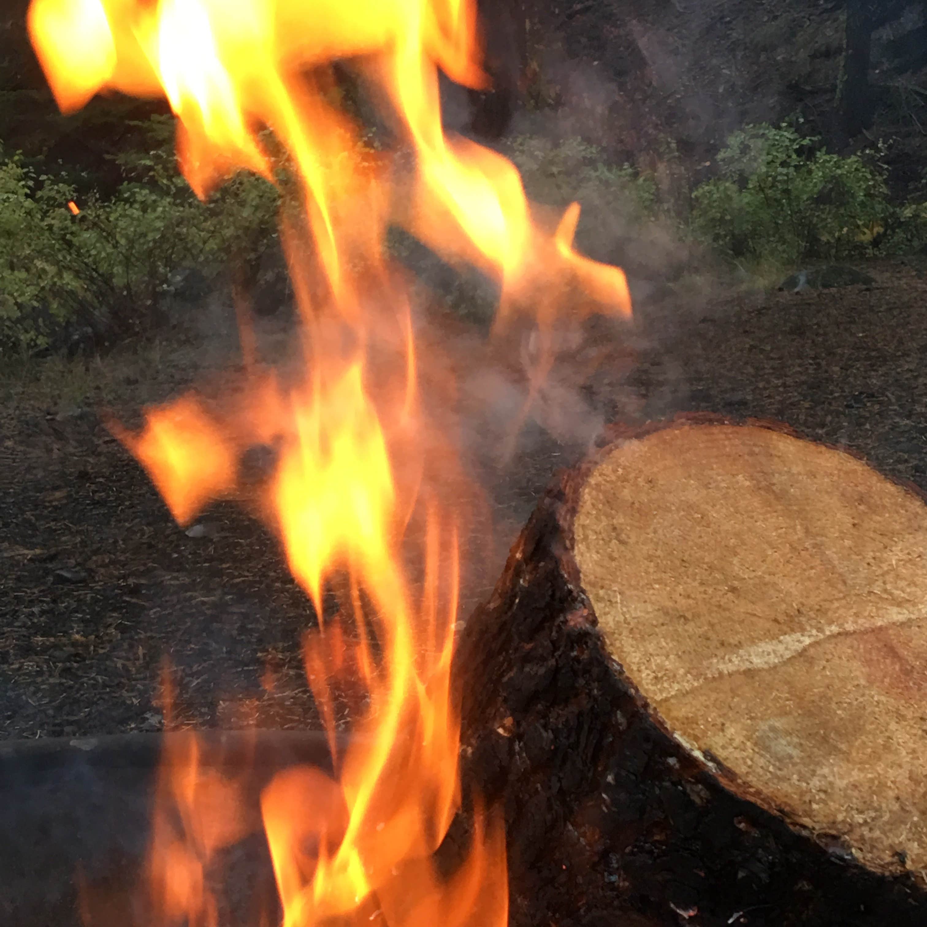 Ahtanum Meadows Campground Camping | The Dyrt