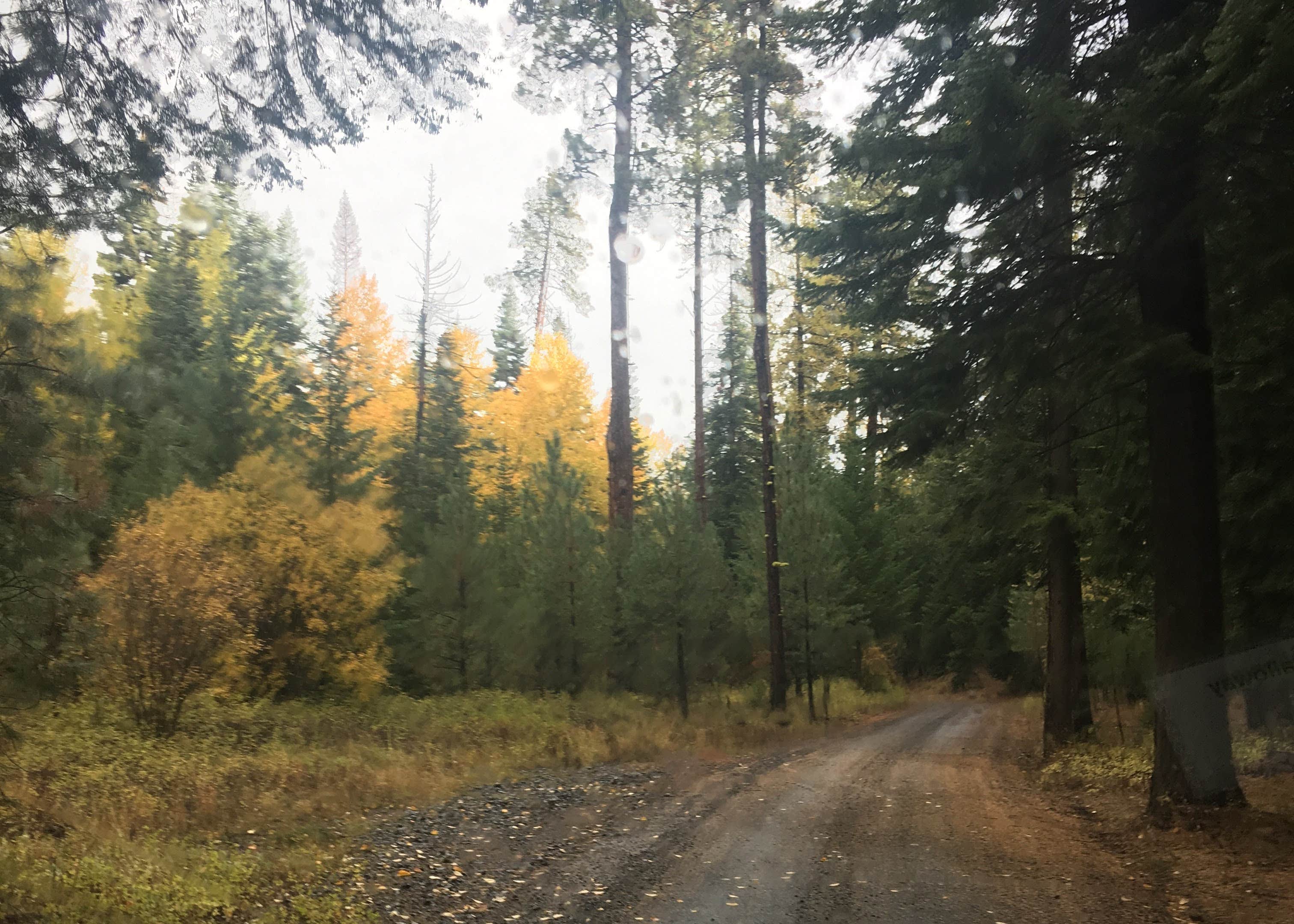 Ahtanum Meadows Campground Camping | The Dyrt