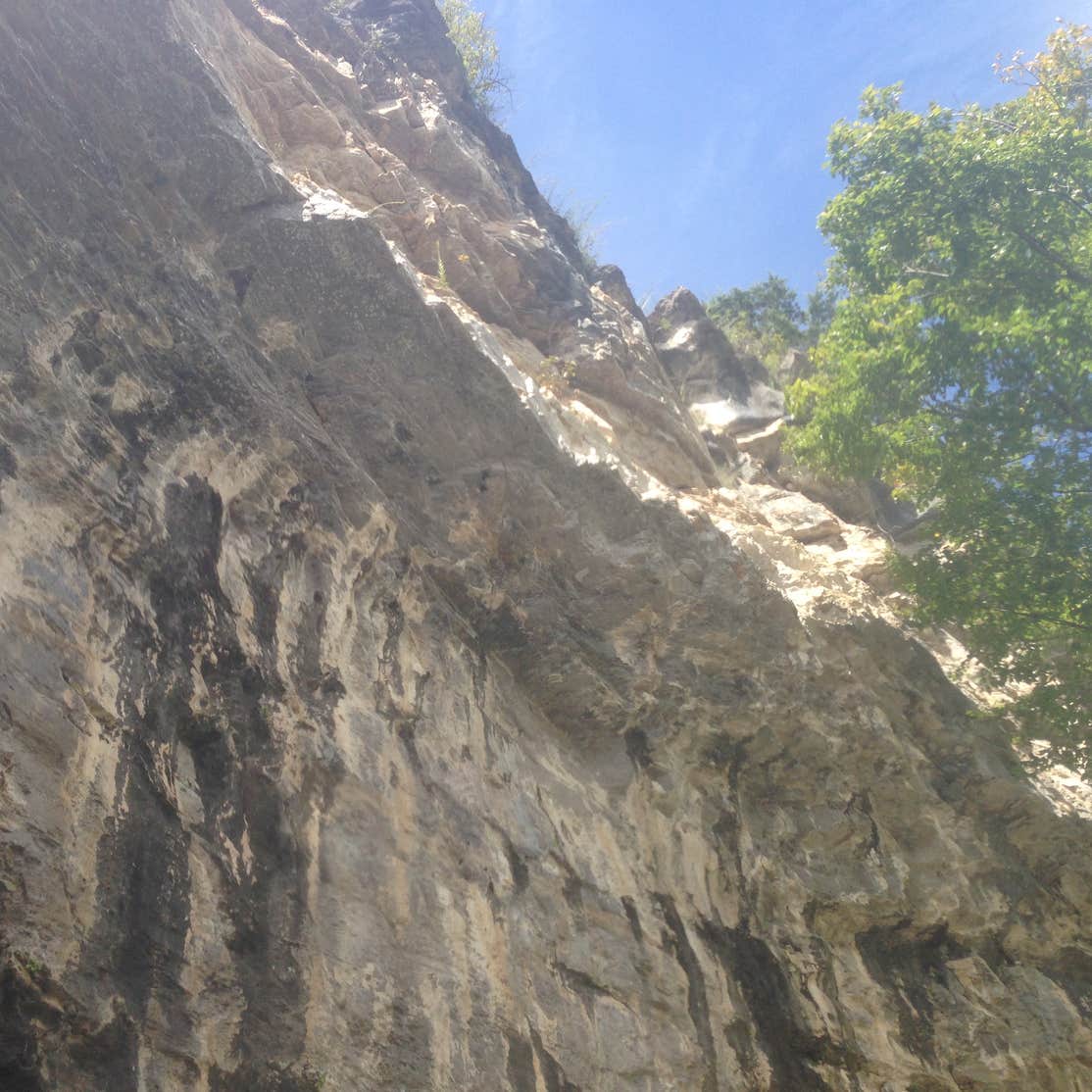 Buffalo Point Camping | The Dyrt