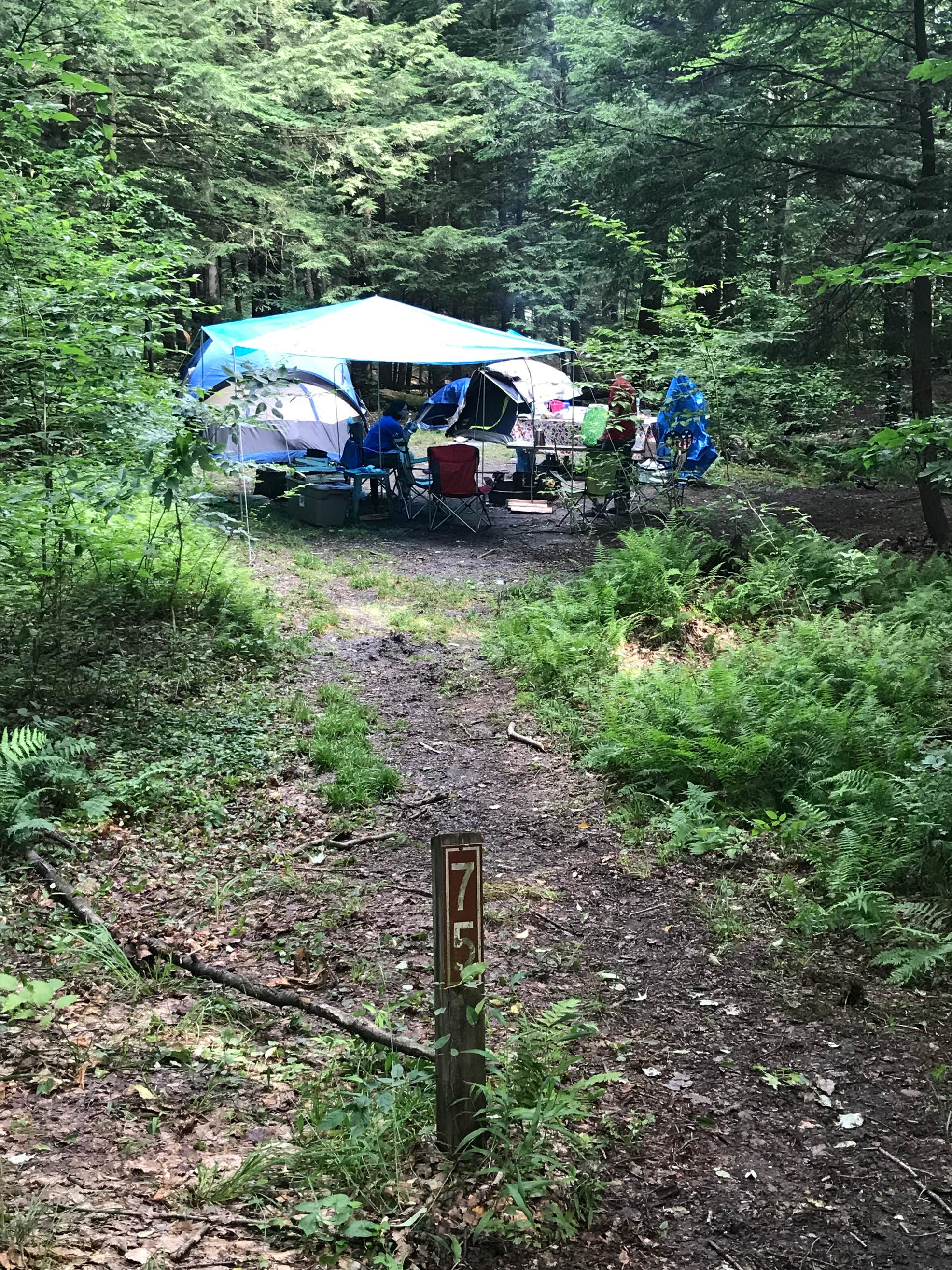 Chapman State Park Camping | The Dyrt