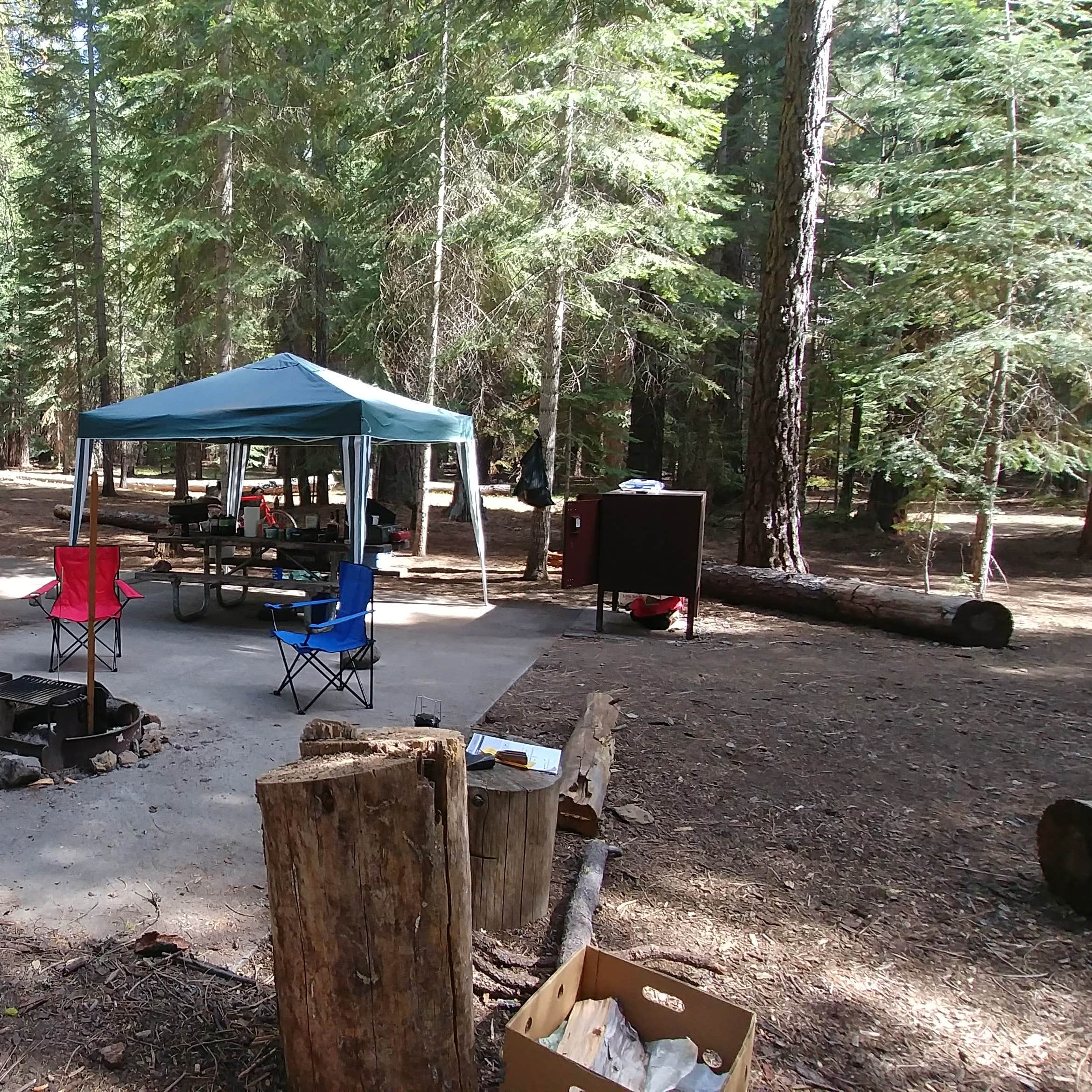 Cattle Camp Campground Camping | The Dyrt