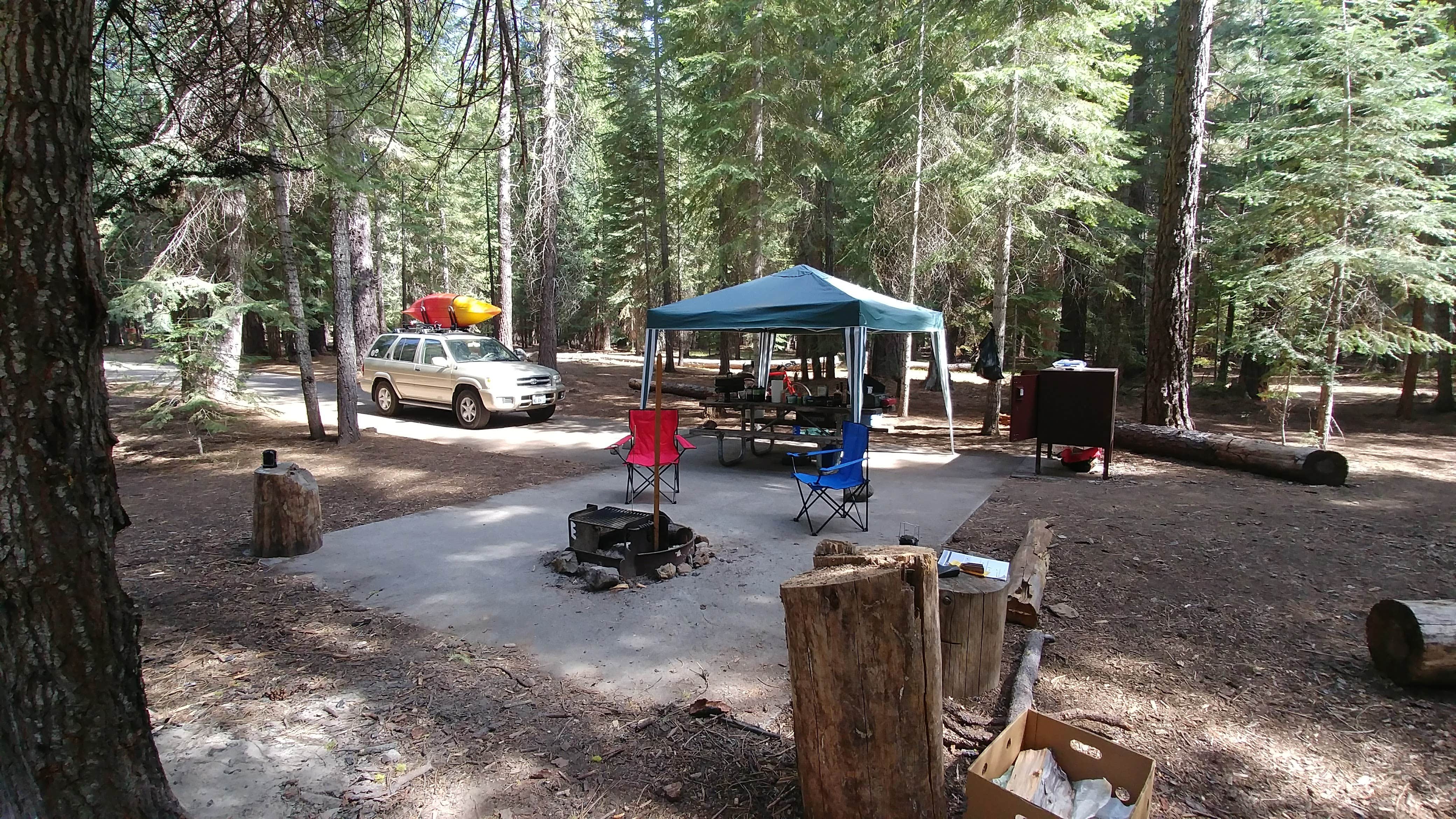 Cattle Camp Campground | McCloud, CA