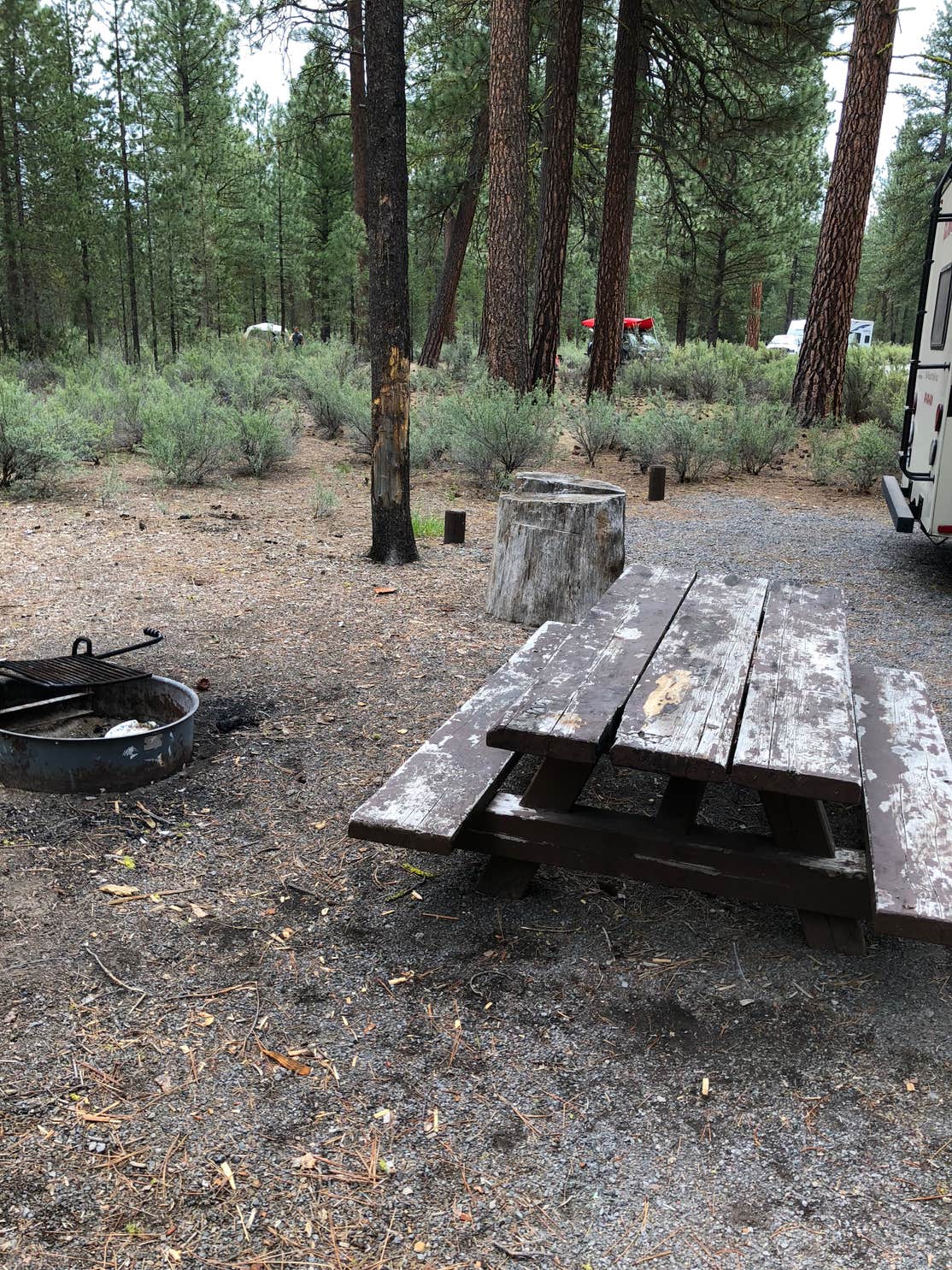 Williamson River Campground | The Dyrt