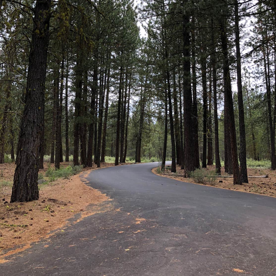 Collier Memorial State Park Camping | The Dyrt