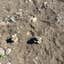 BLM John Day River - Priest Hole Camping | The Dyrt