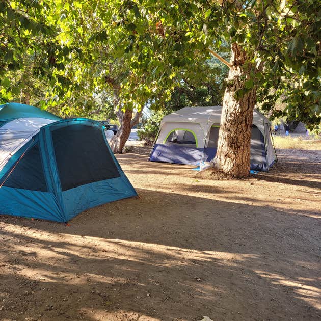 Sycamore Campground | New Cuyama, California