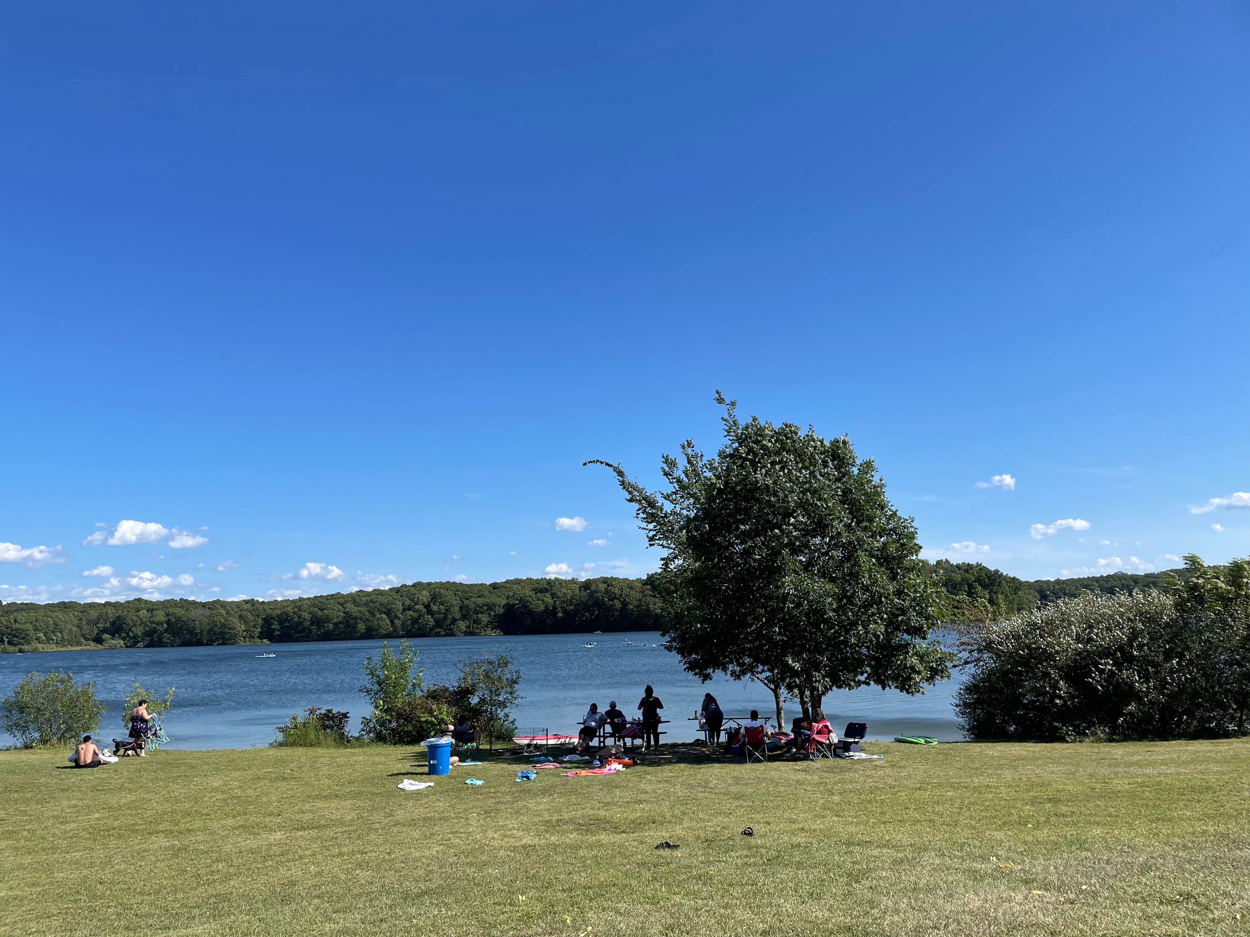 Fort Custer Recreation Area | The Dyrt