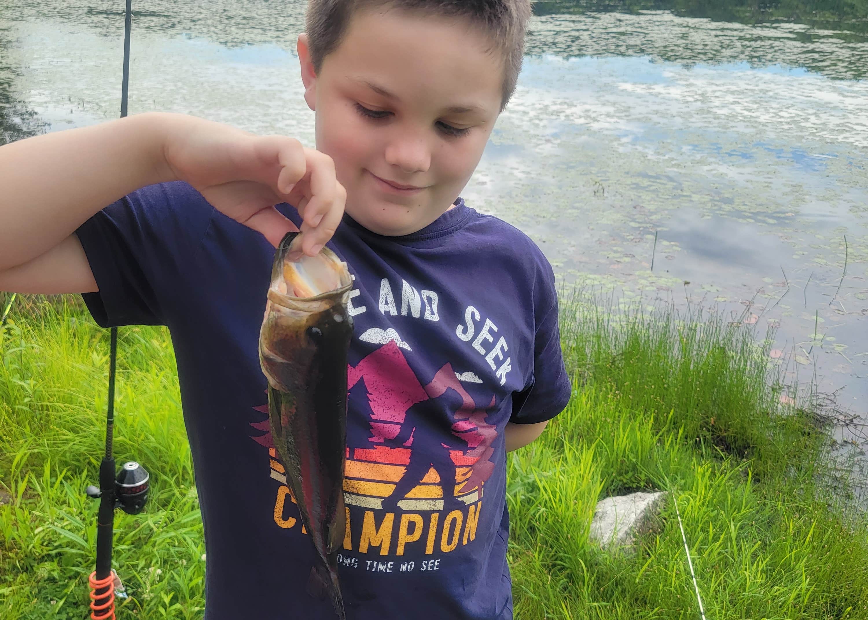 High Point State Park Camping | The Dyrt