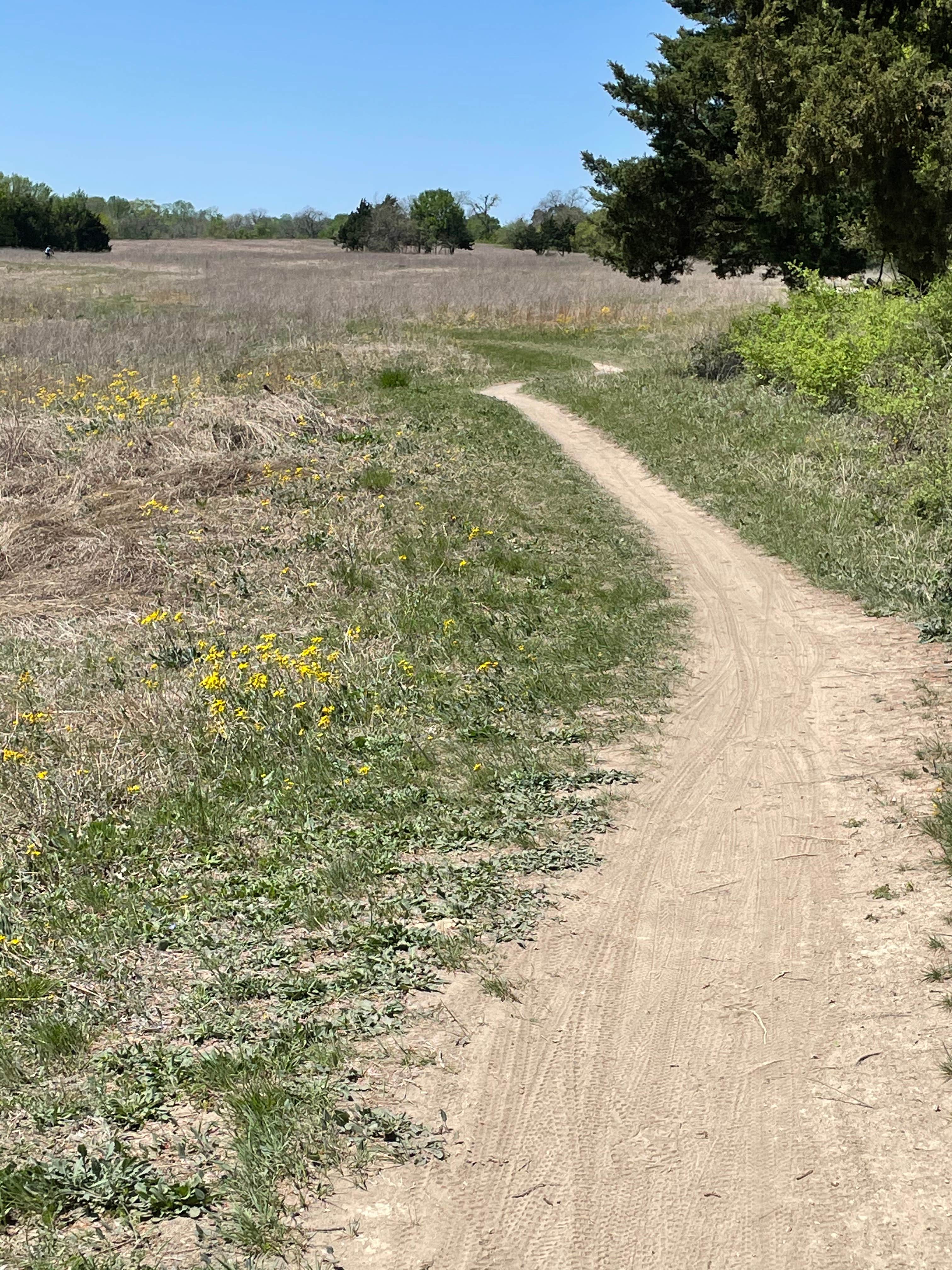 Erwin Park Camping | McKinney, TX