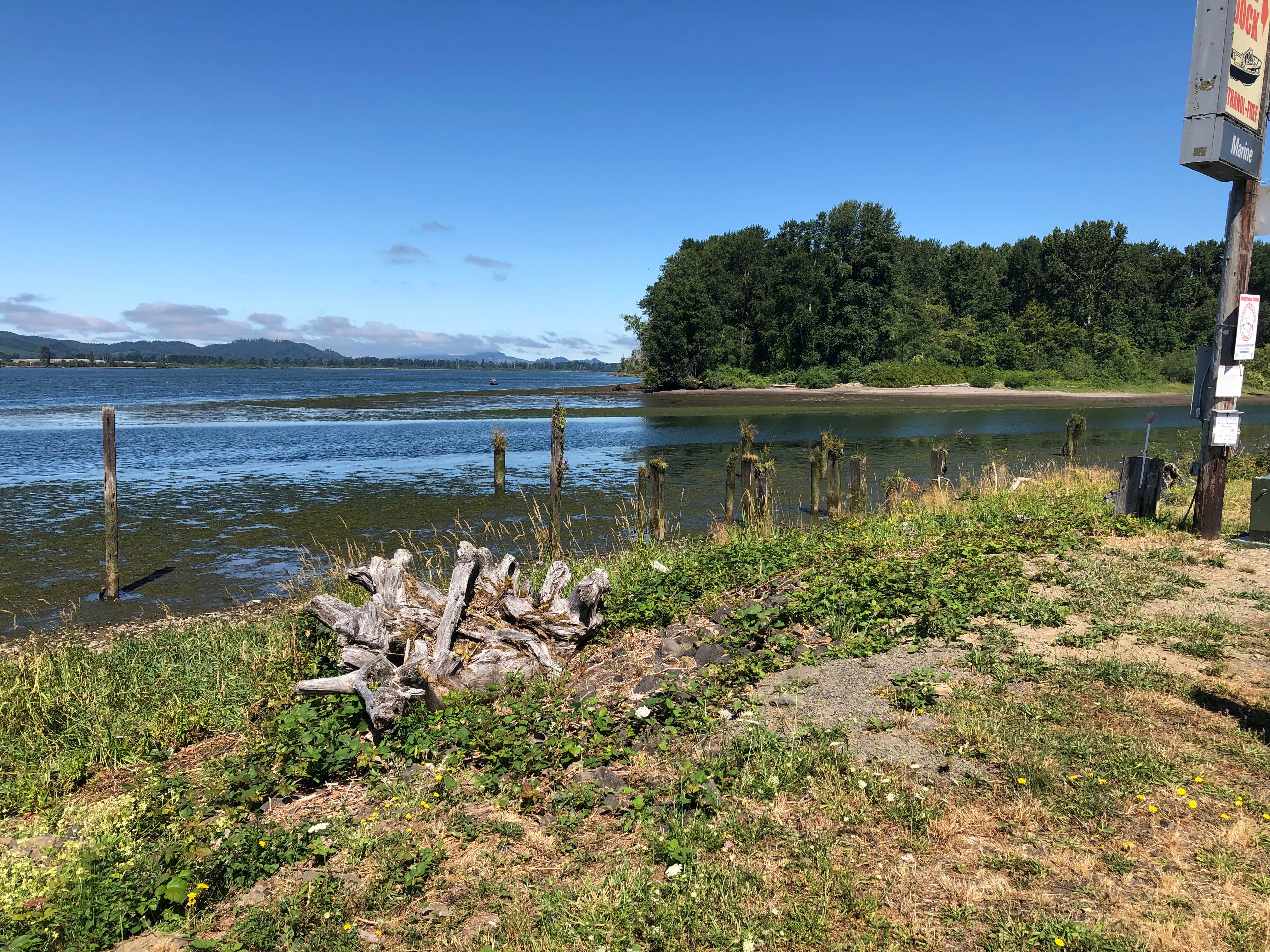 Elochoman Marina Camping | Cathlamet, Washington