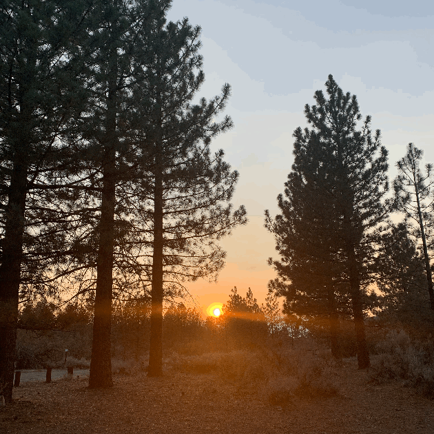 Chuchupate Campground | Frazier Park, CA