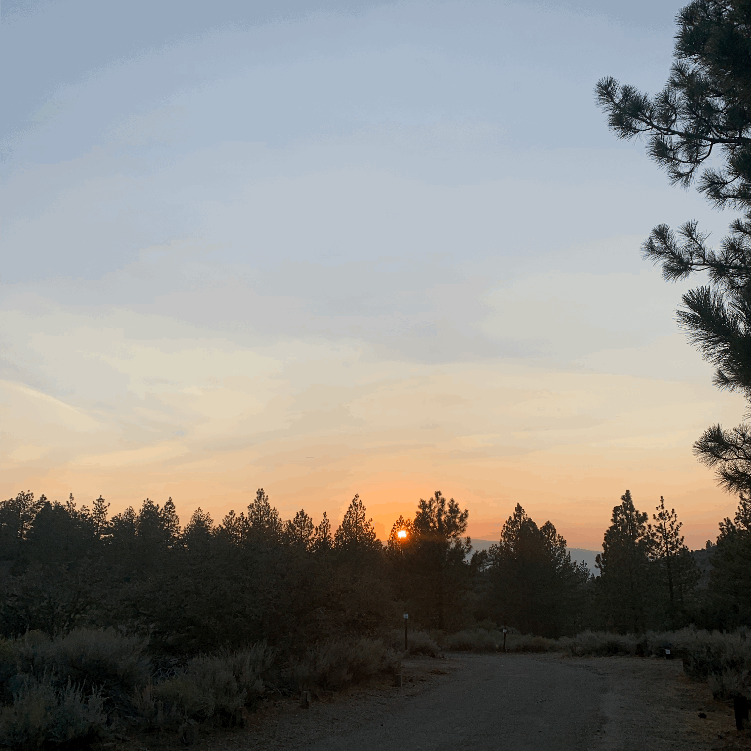 Chuchupate Campground | Frazier Park, California