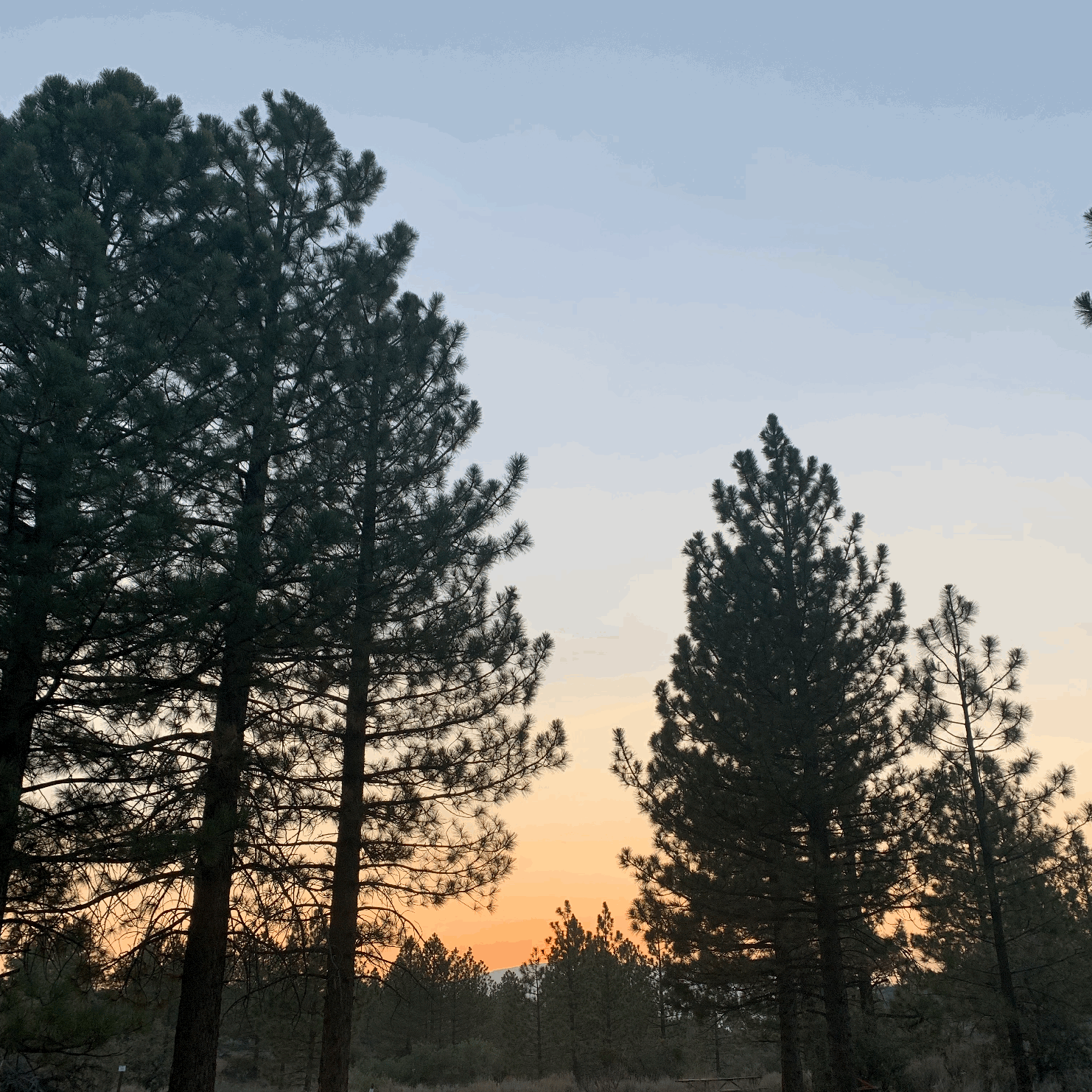 Chuchupate Campground | Frazier Park, California
