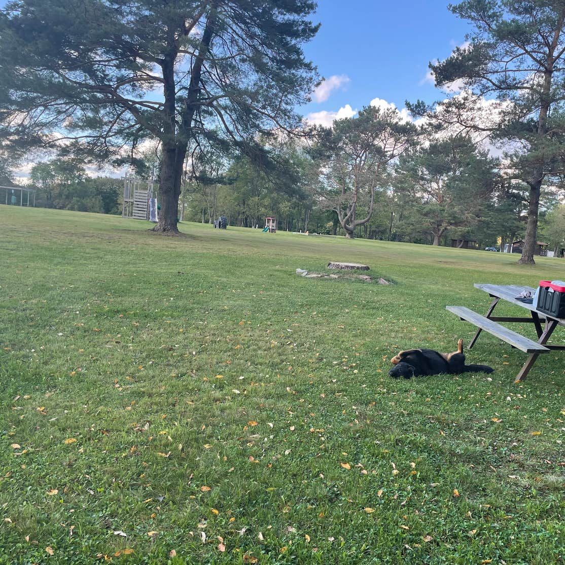 High Pines RV Park | Mount Jewett, Pennsylvania