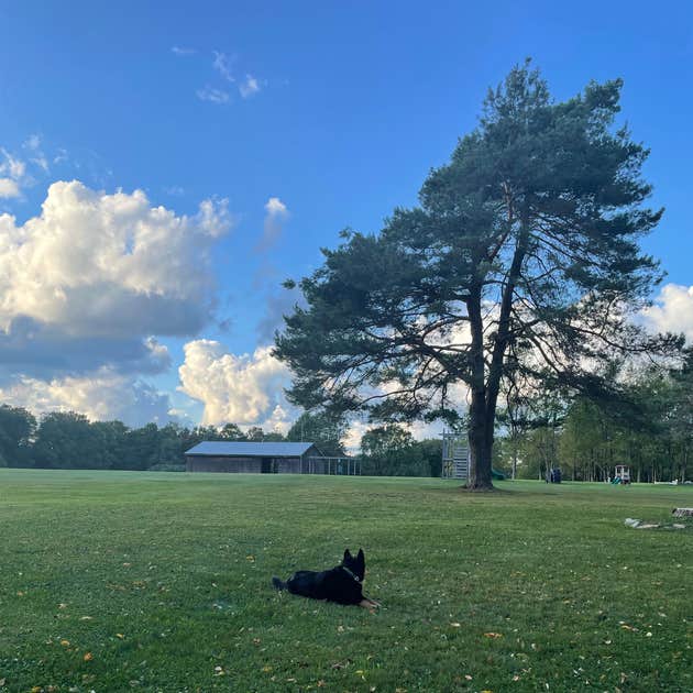 High Pines RV Park | Mount Jewett, Pennsylvania