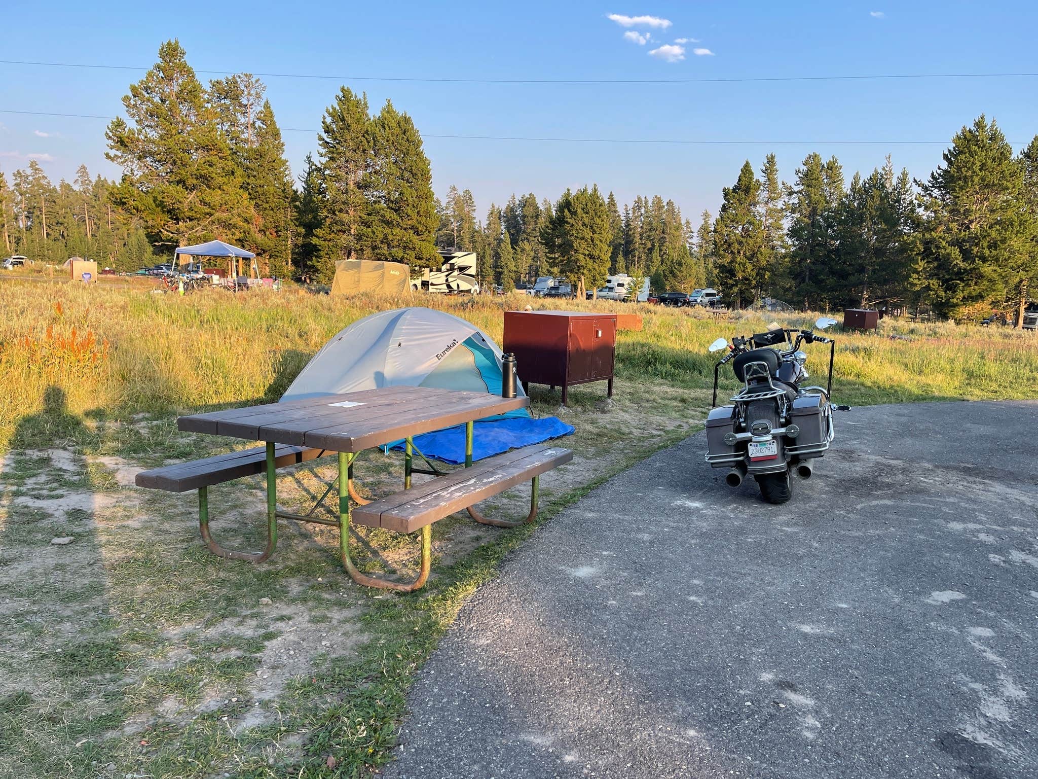 Bridge Bay Campground | The Dyrt