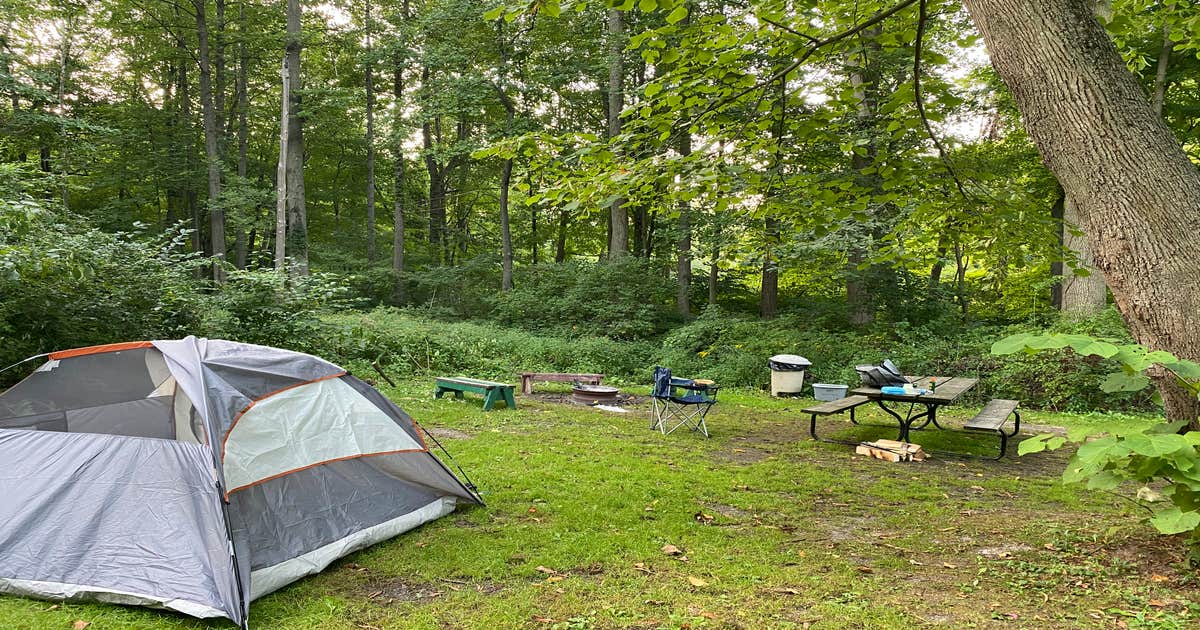 Sweet Cherry Resort Camping | Watervliet, MI