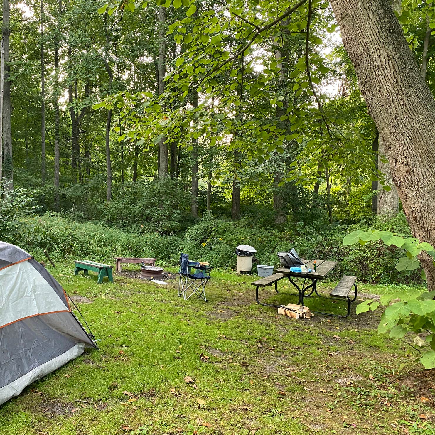Sweet Cherry Resort Camping | Watervliet, Michigan
