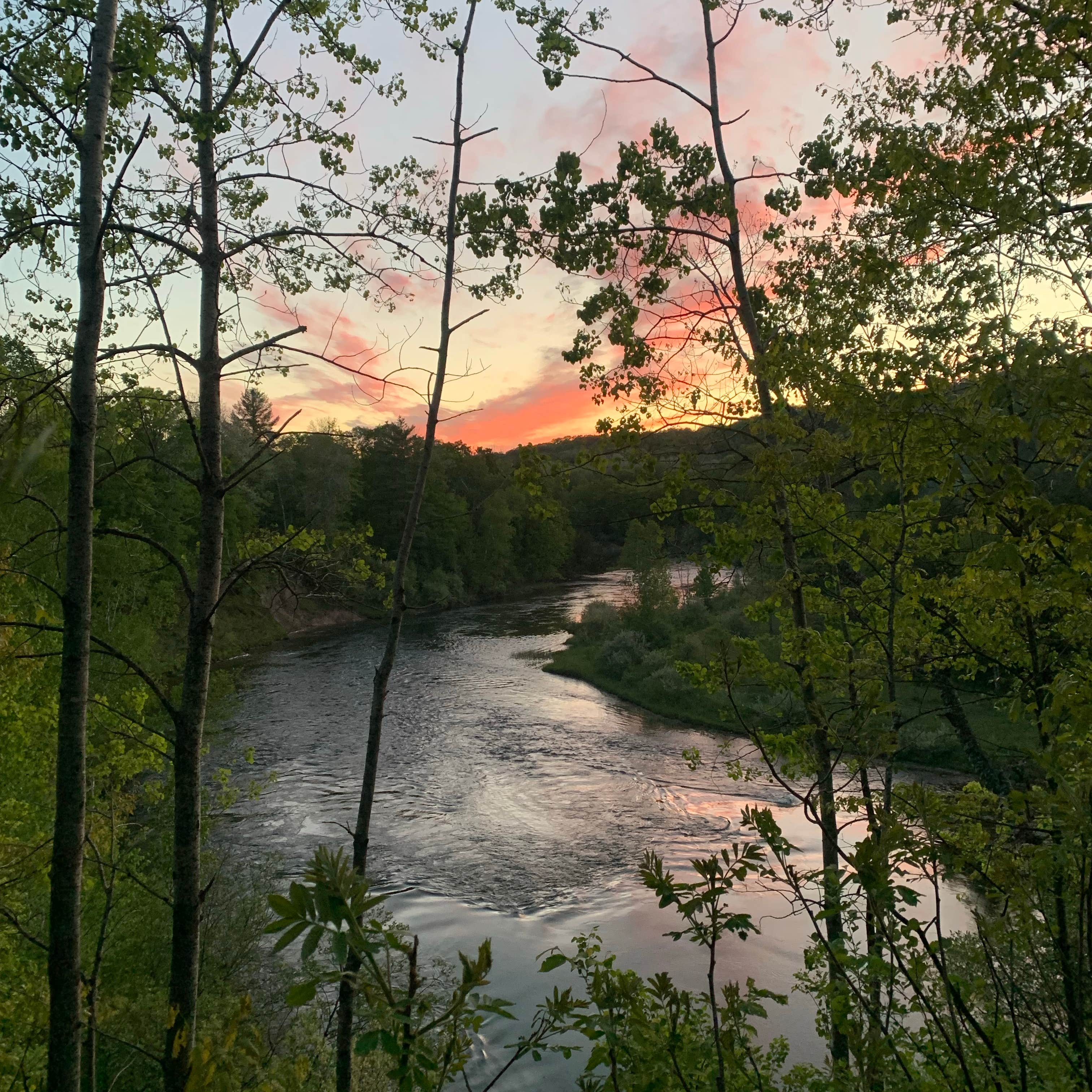 Manistee River Trail Dispersed Camping Camping | The Dyrt