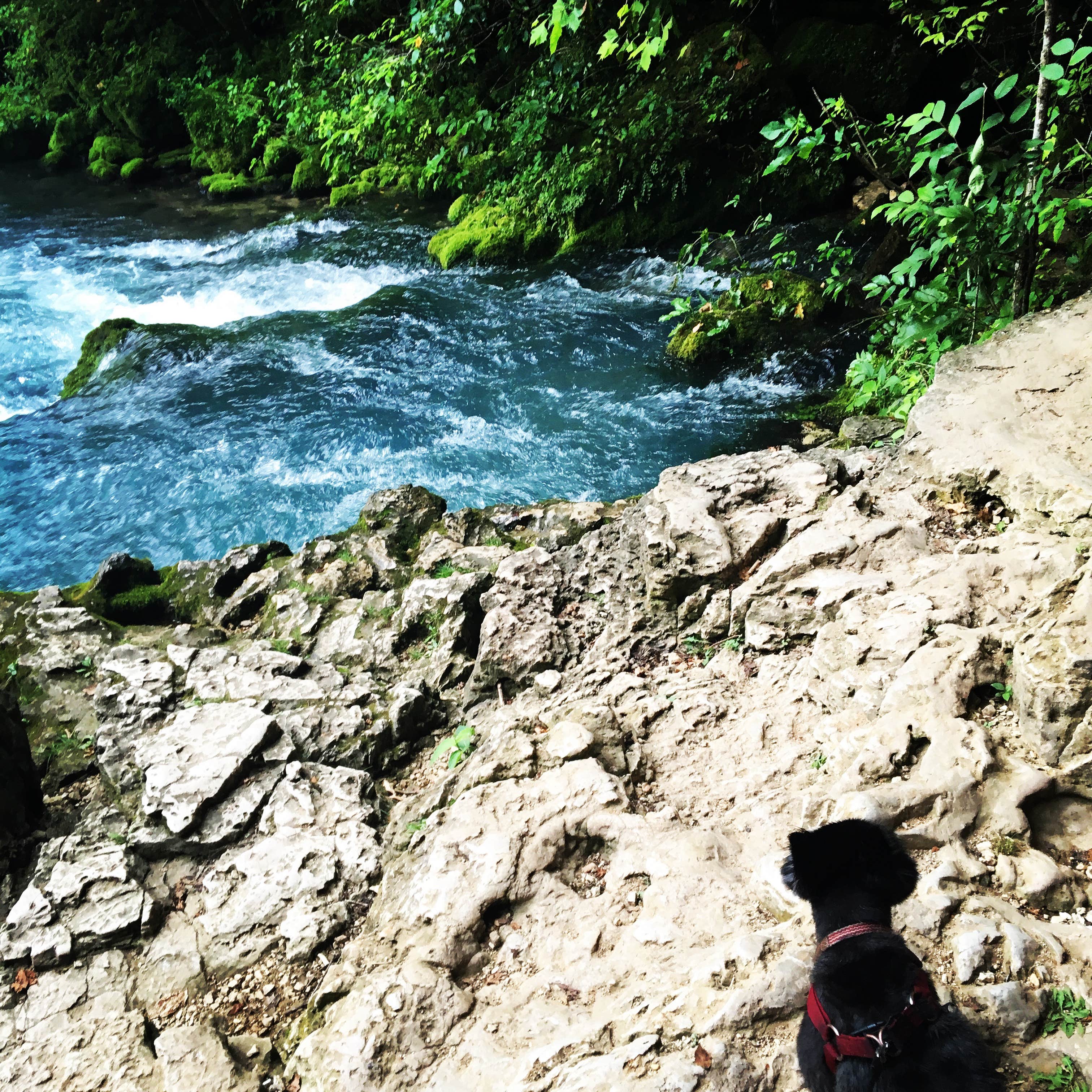 Big Spring Campground — Ozark National Scenic Riverway | Van buren, MO