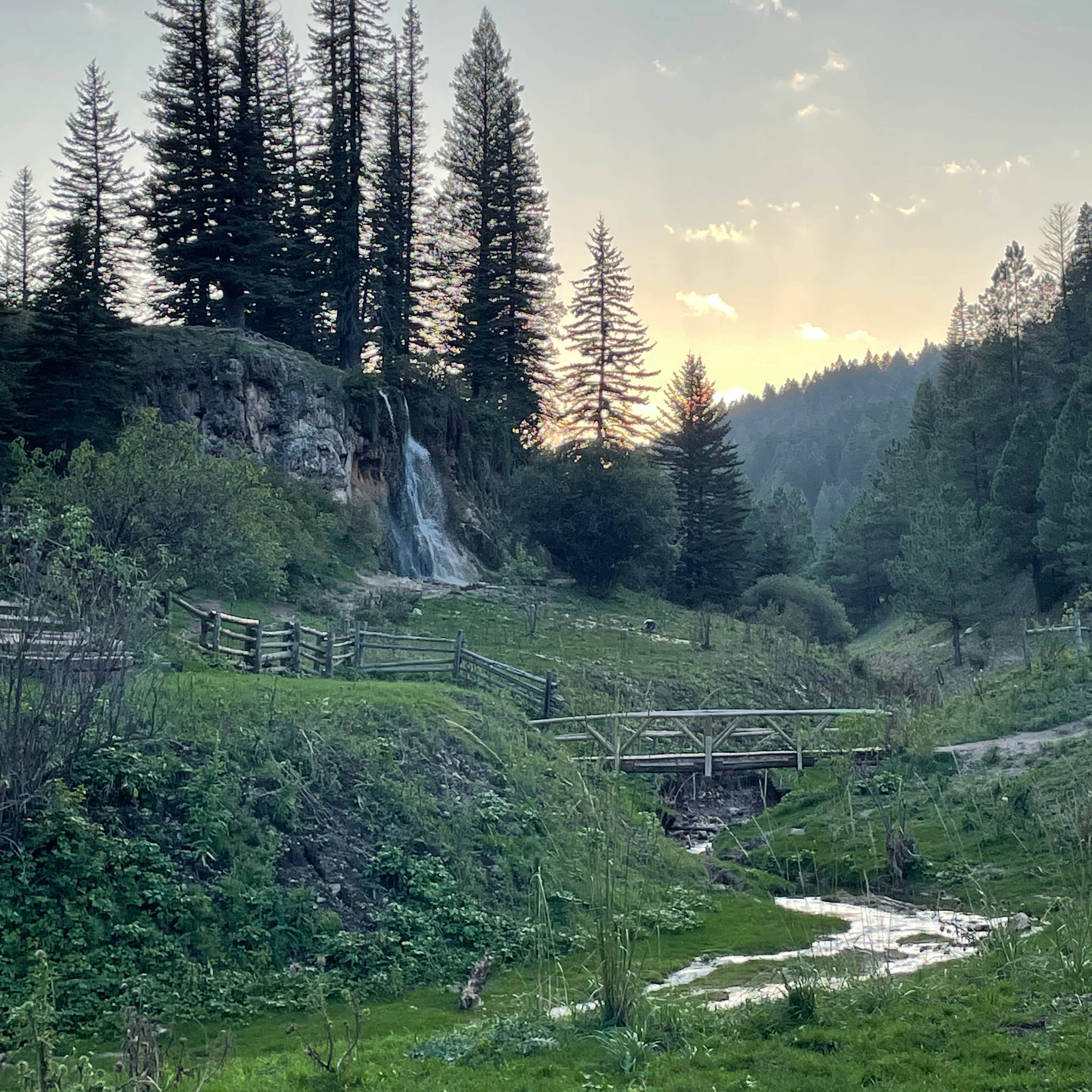 Bluff Springs Dispersed Camping Camping | The Dyrt