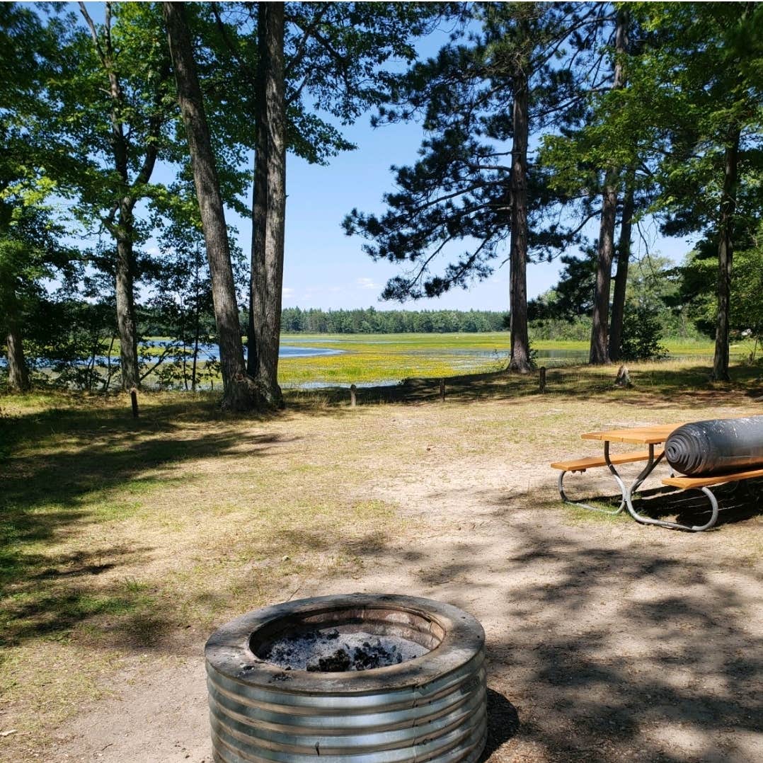 Reedsburg Dam State Forest Campground | Higgins Lake, Michigan