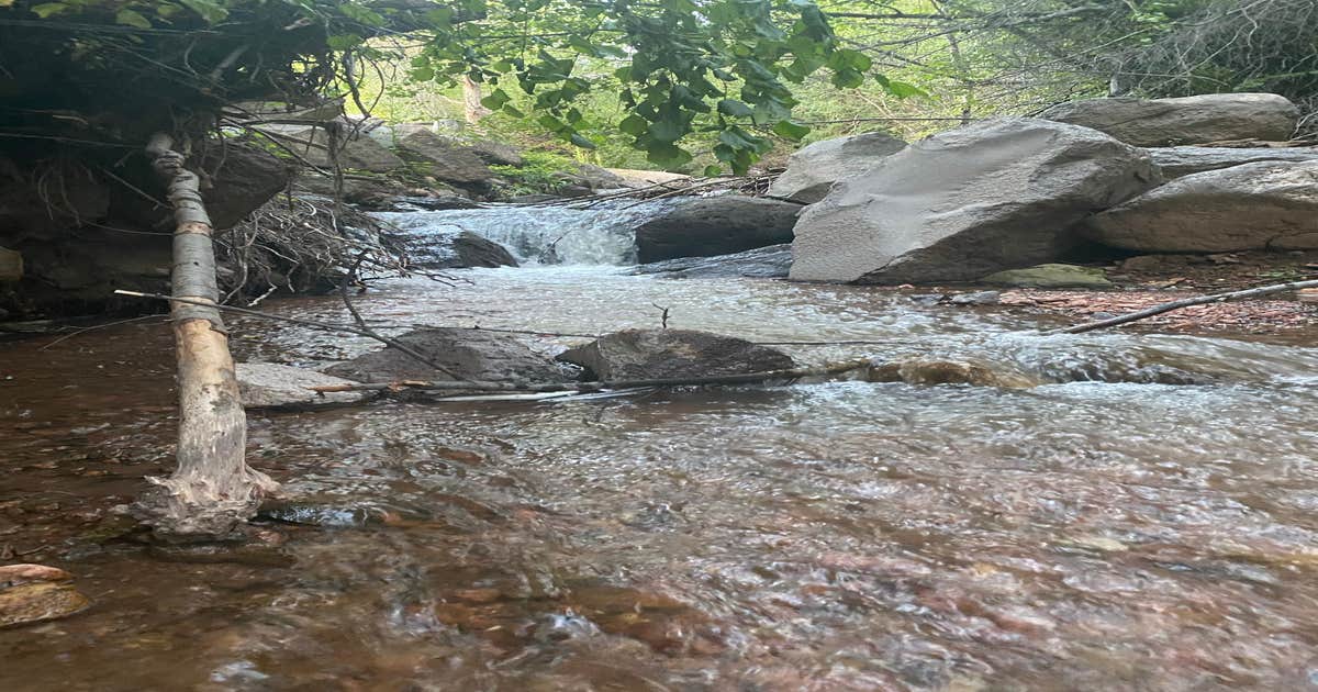 Yankee Meadows Camping | The Dyrt