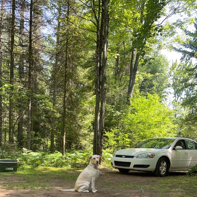 Little Lake State Forest Campground | Gwinn, Michigan