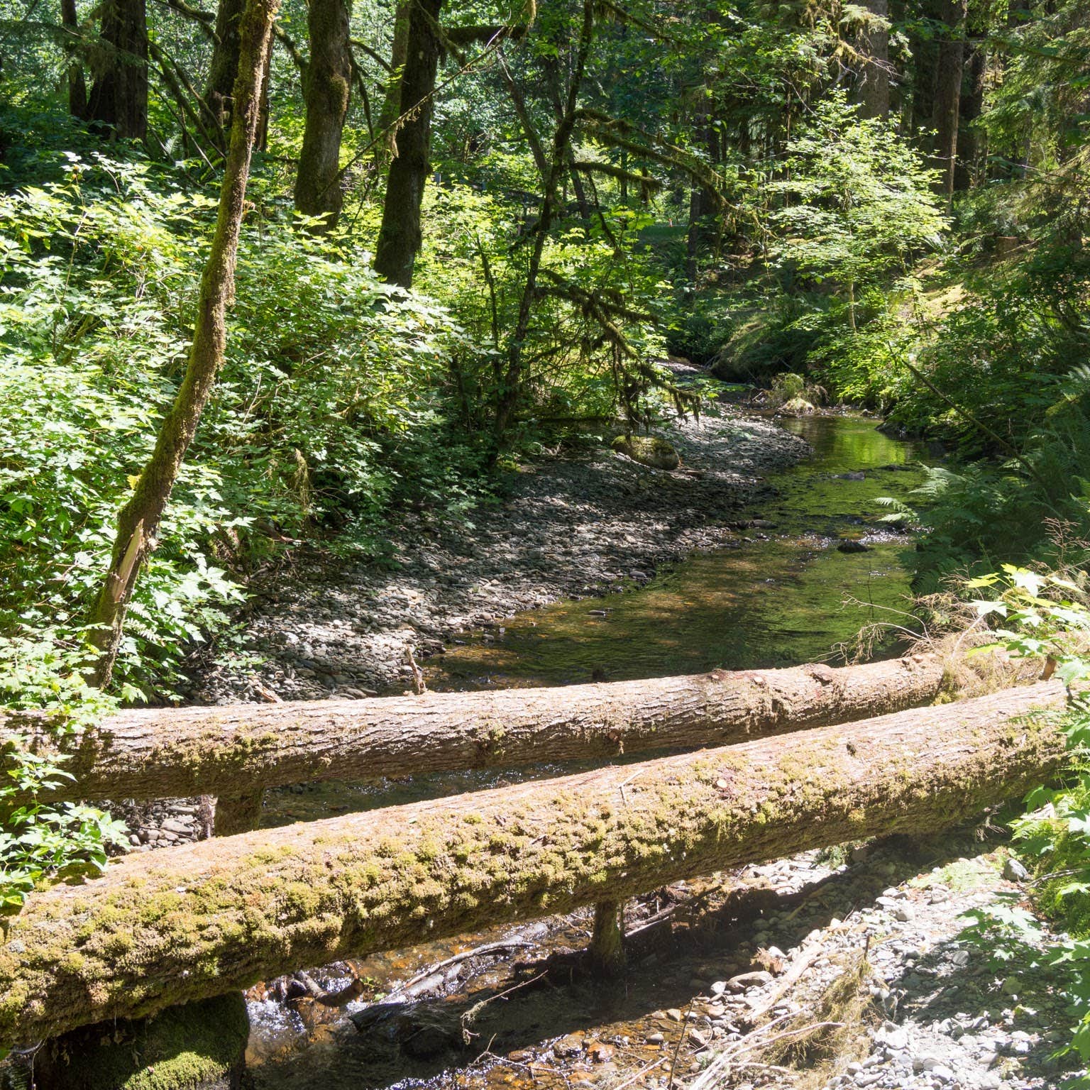 Verlot Campground Camping | The Dyrt