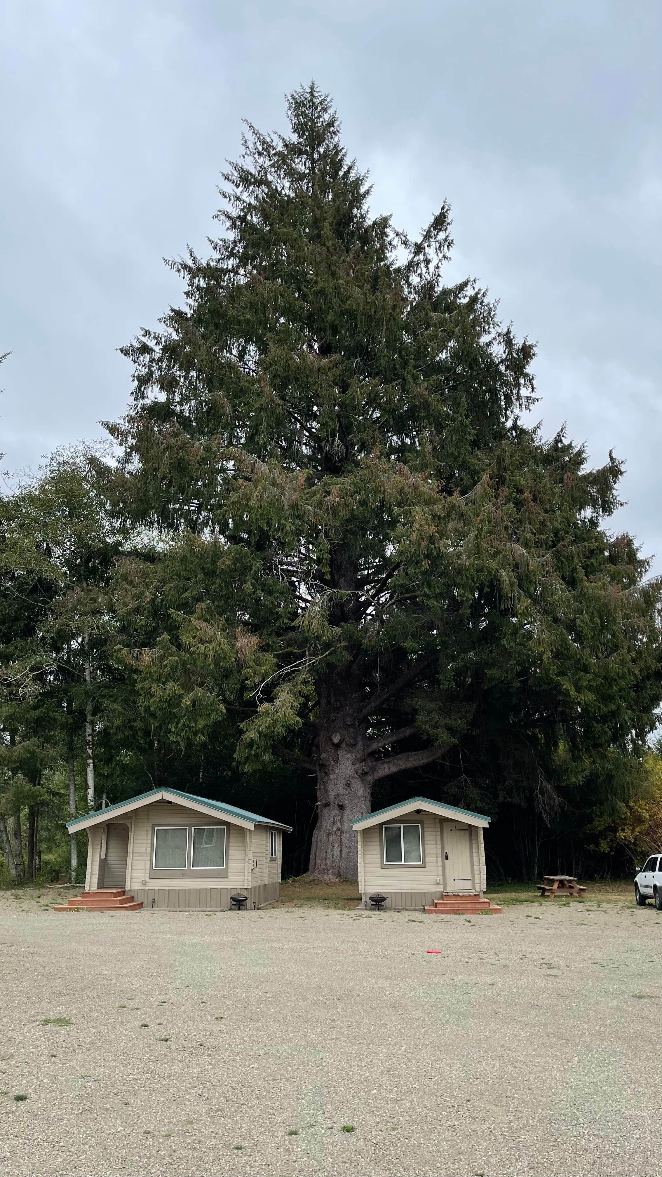 Big Spruce Resort RV and Cabins | Copalis Crossing, WA