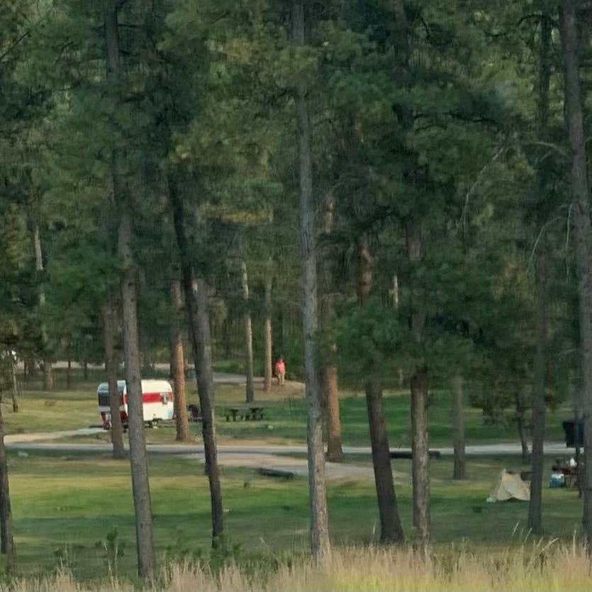 Oreville Campground Camping | The Dyrt