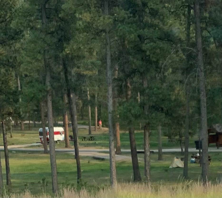 Oreville Campground | Custer, SD