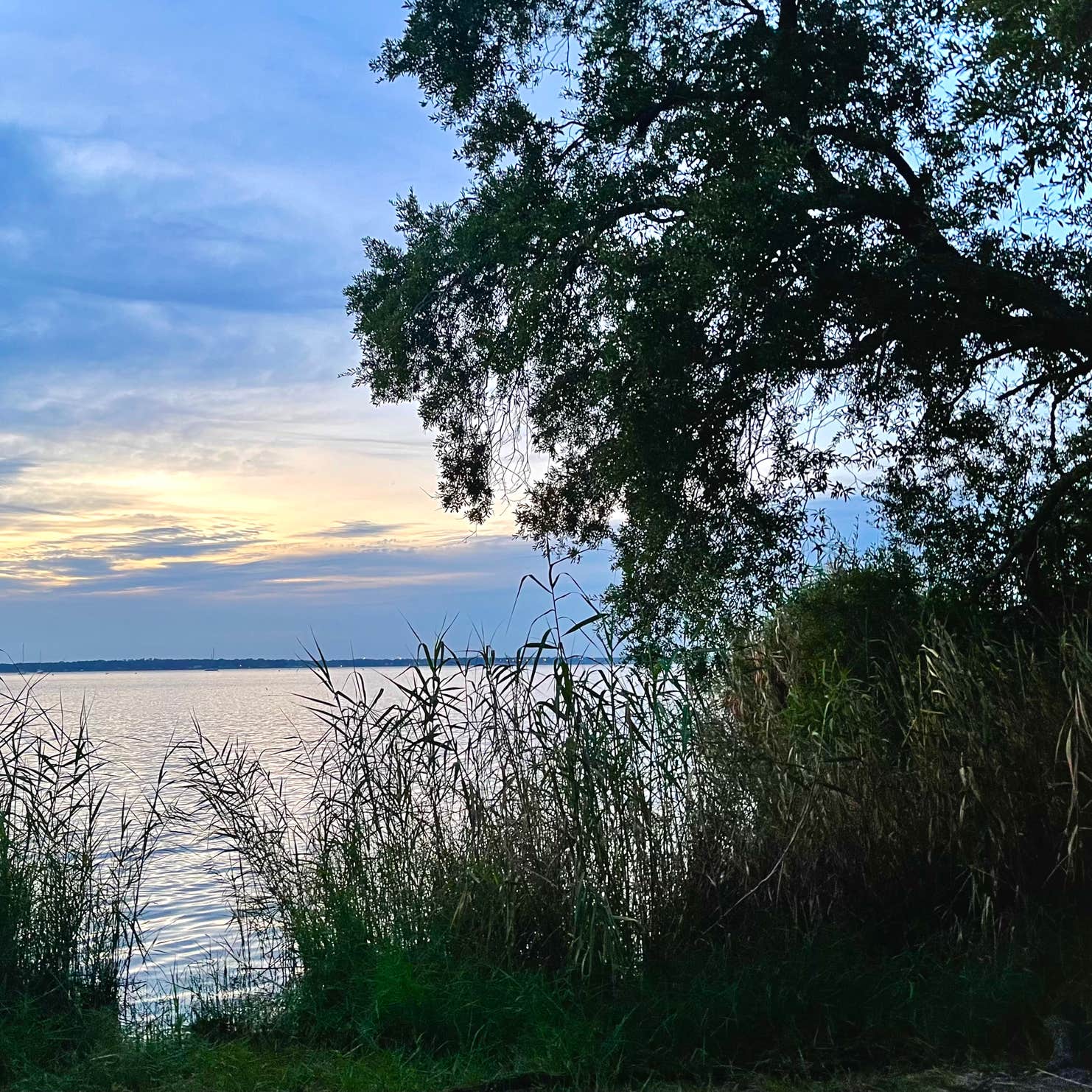 Jacksonville RV Park (Naval Air Station) | Orange Park, Florida