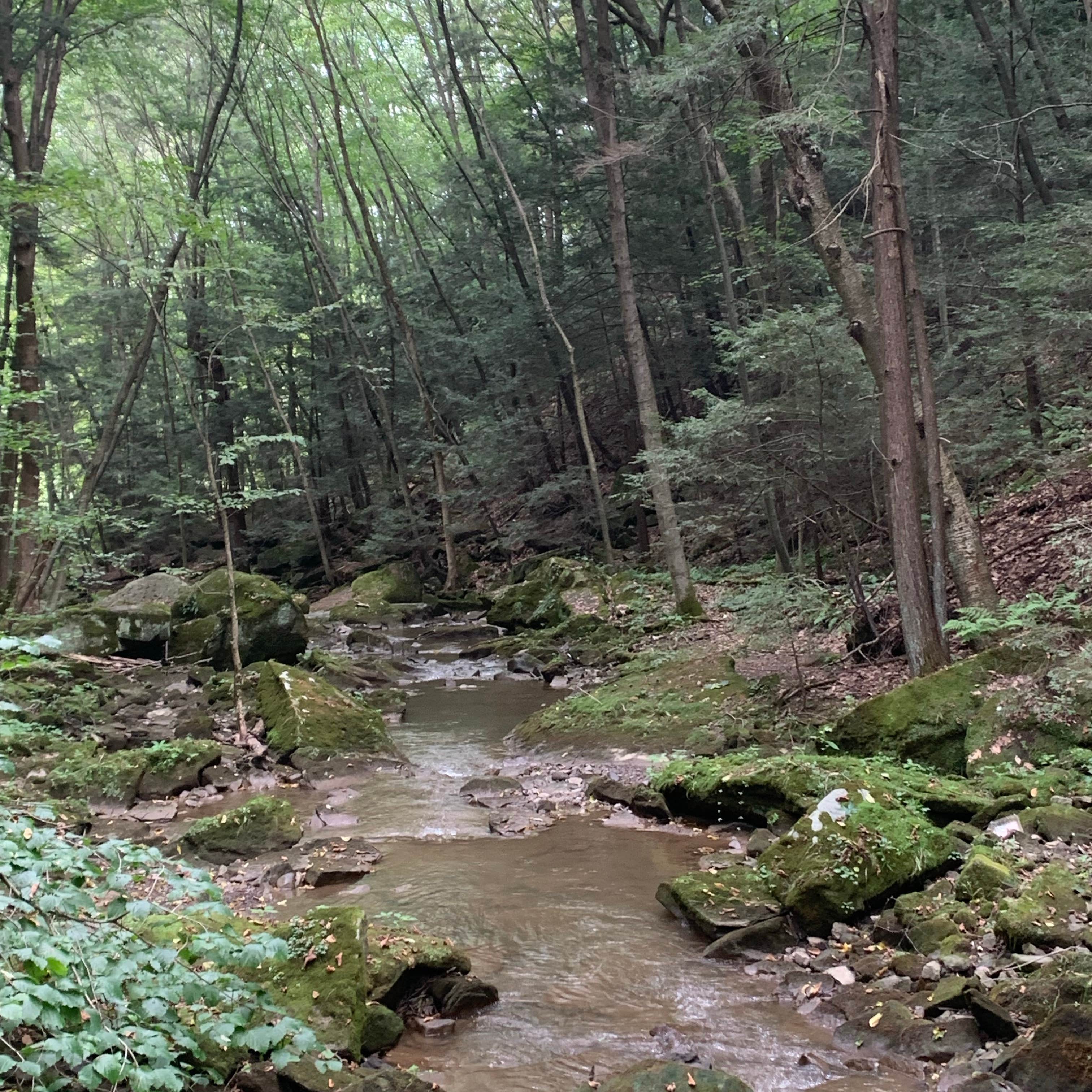 Rose Point Park Cabins & Camping | Portersville, Pennsylvania