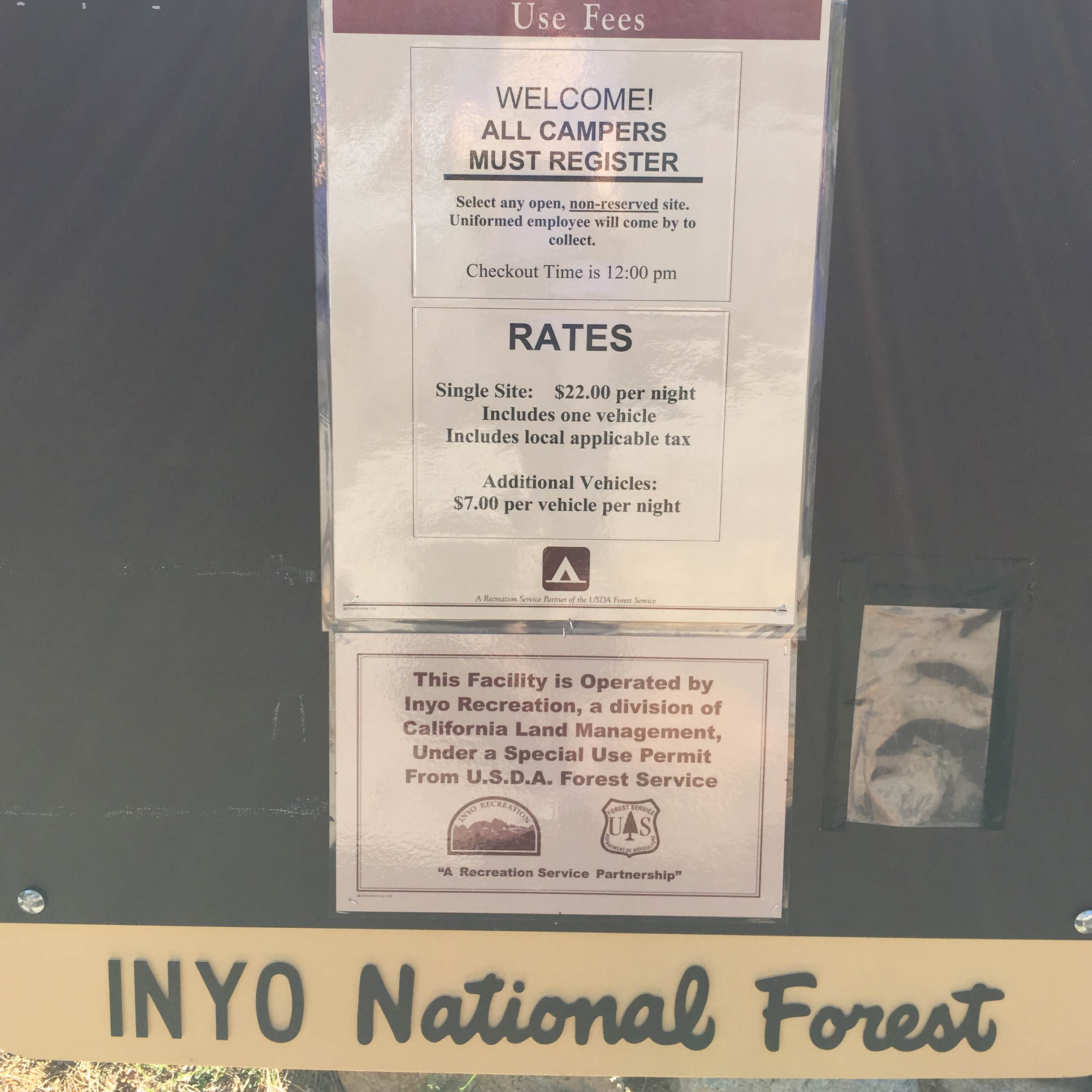 Tioga Lake Campground Camping | The Dyrt