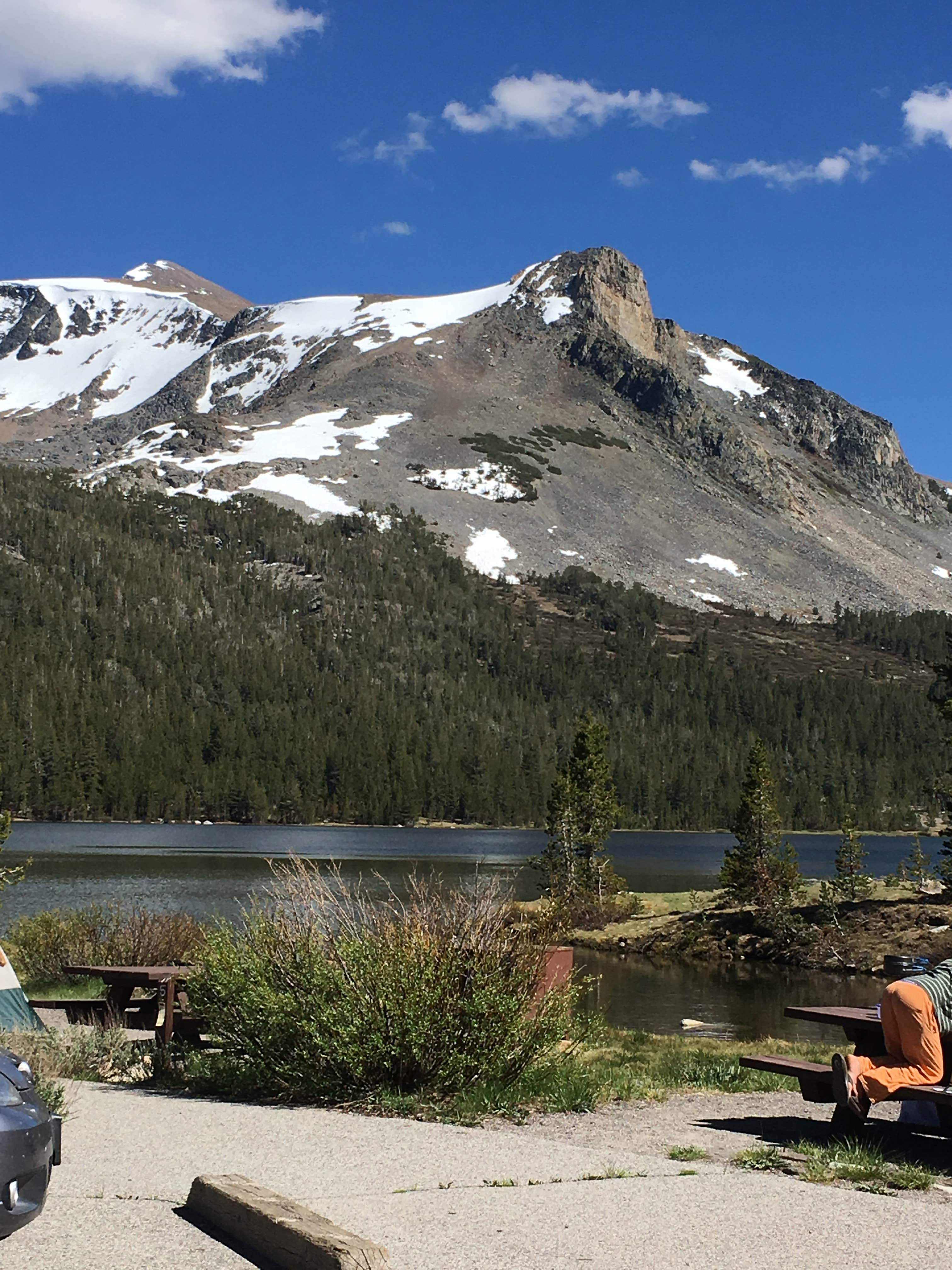 Tioga Lake Campground | Lee Vining, California