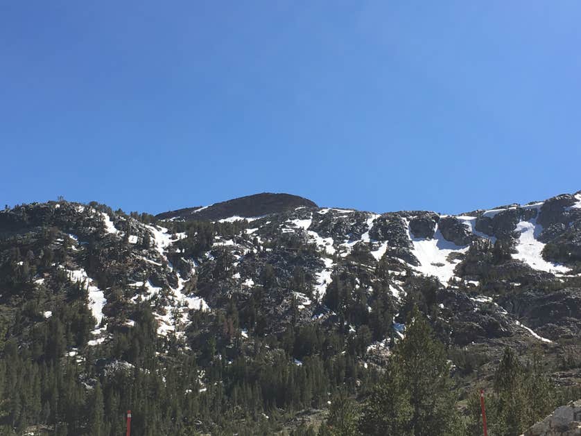 Tioga Lake Campground Camping | The Dyrt