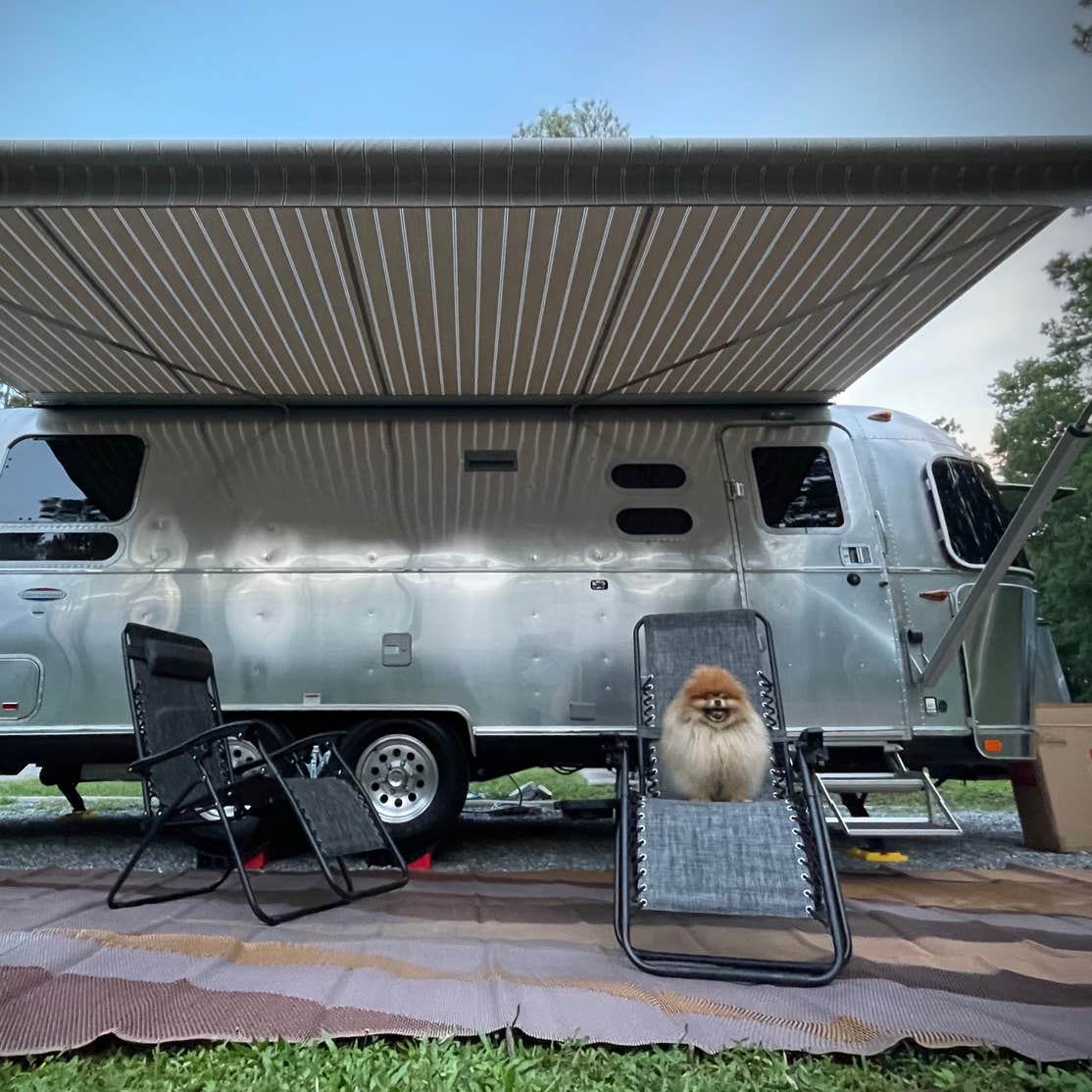 Jacksonville RV Park (Naval Air Station) | Orange Park, Florida