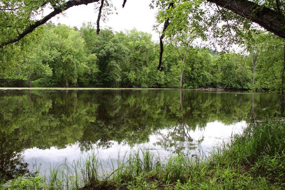 Merrick State Park Campground | Fountain City, WI