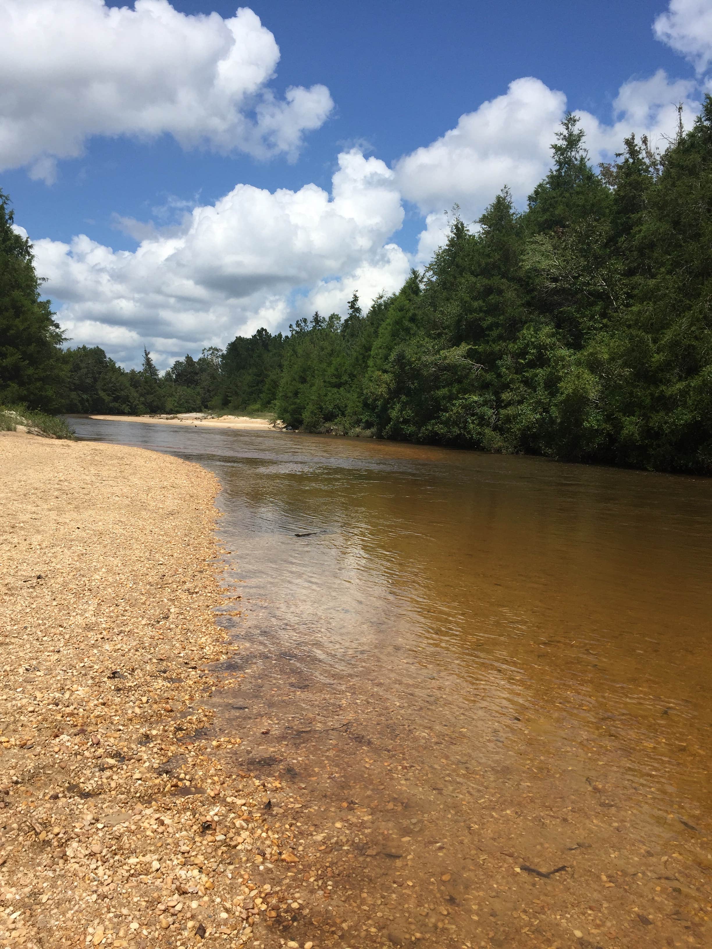 Magnolia Branch Wildlife Reserve Camping | Atmore, Alabama
