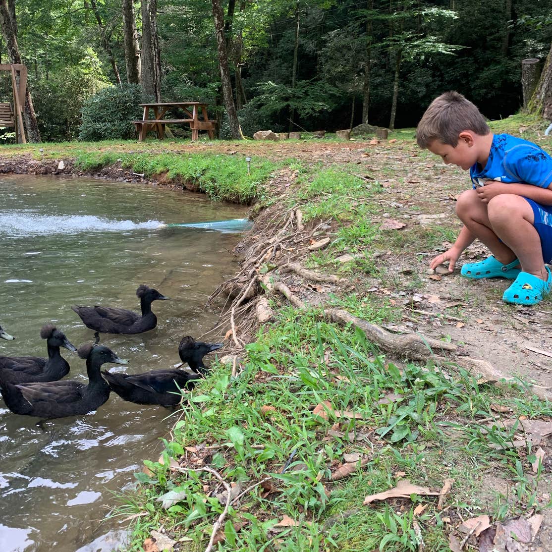 Enota Mountain Retreat Camping | Hiawassee, GA
