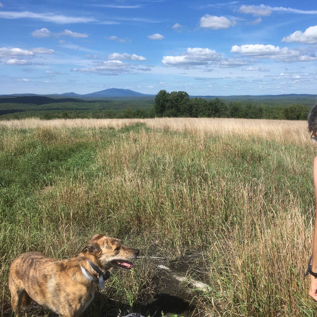Lake Dennison Recreation Area Camping | Winchendon, MA