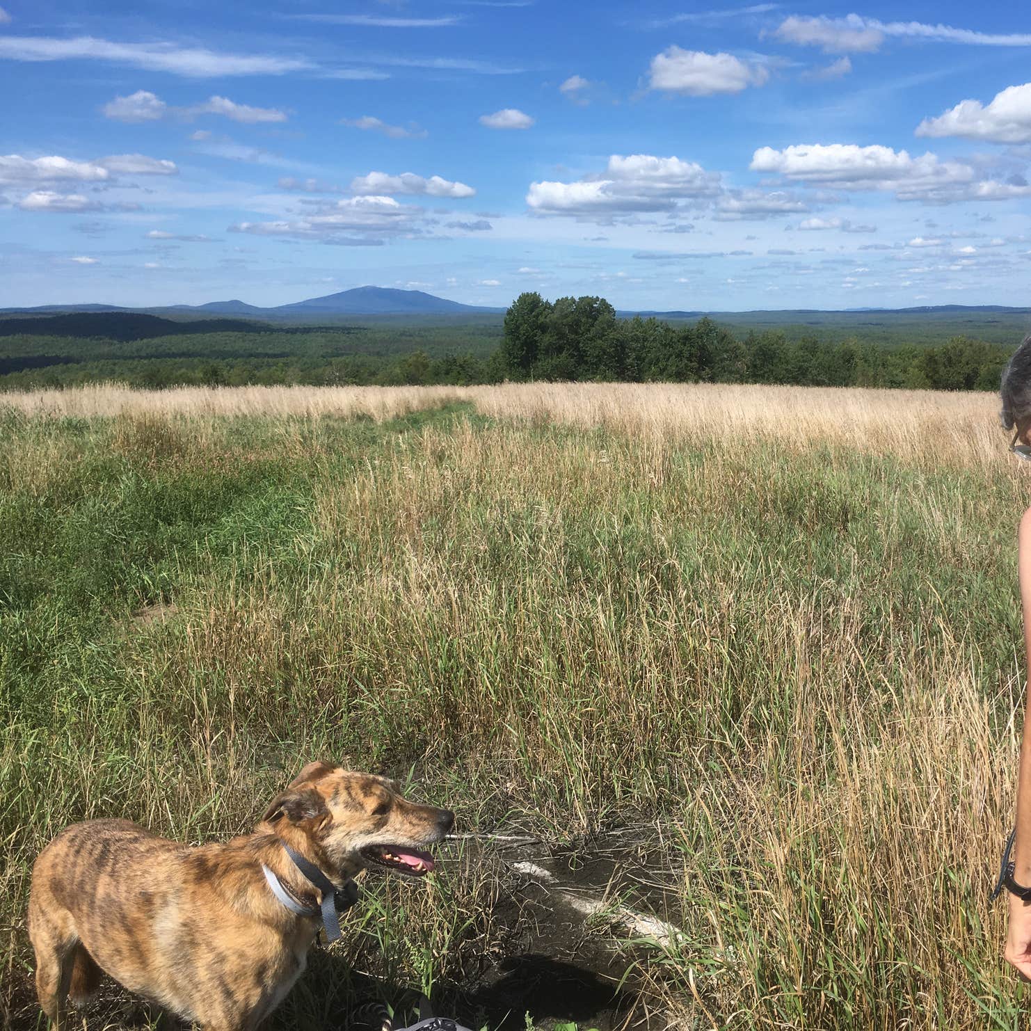Lake Dennison Recreation Area Camping | Winchendon, MA