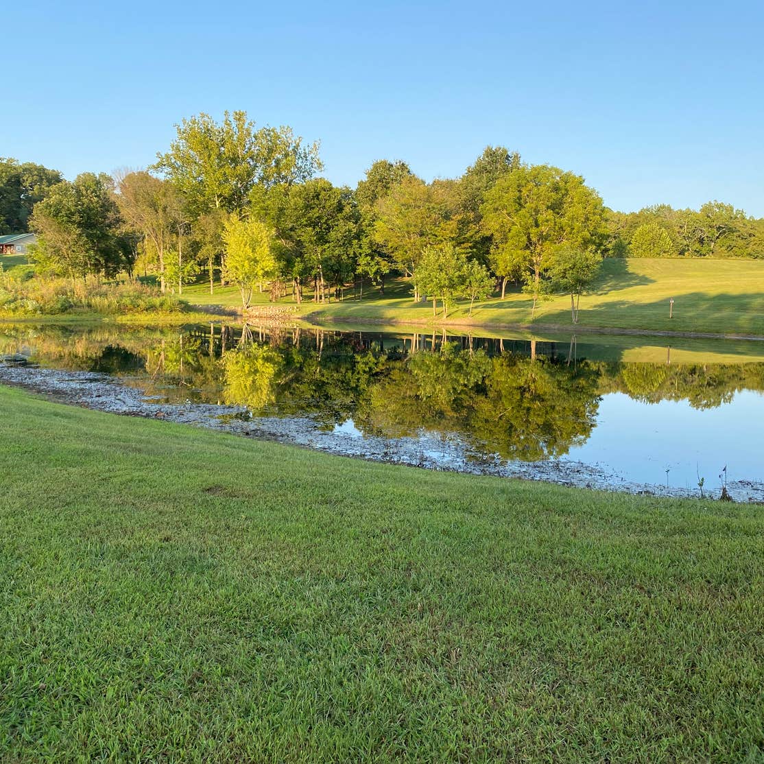 Froggys River Resort Camping | The Dyrt